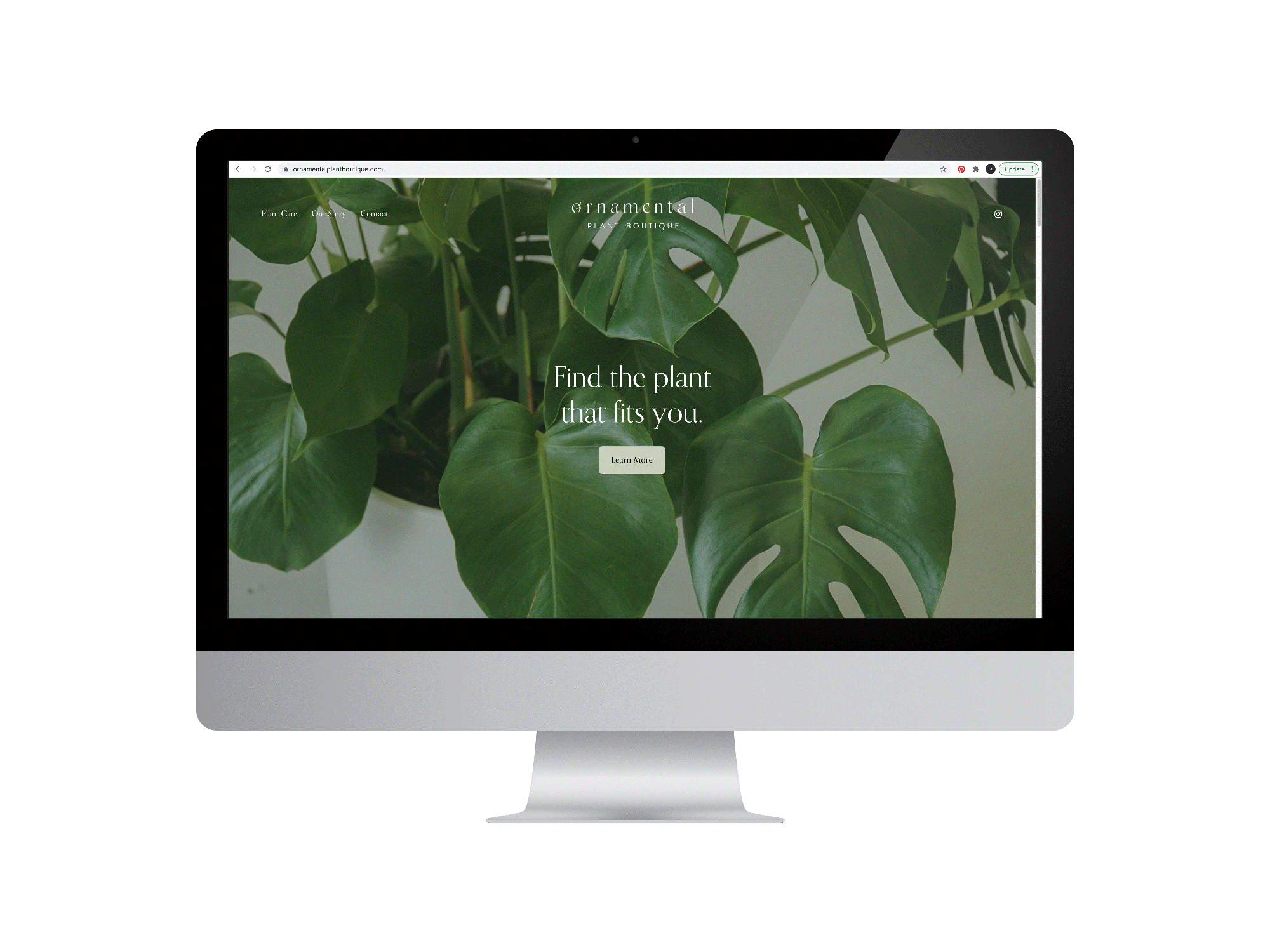 Cielle Studio | Branding and Website Design