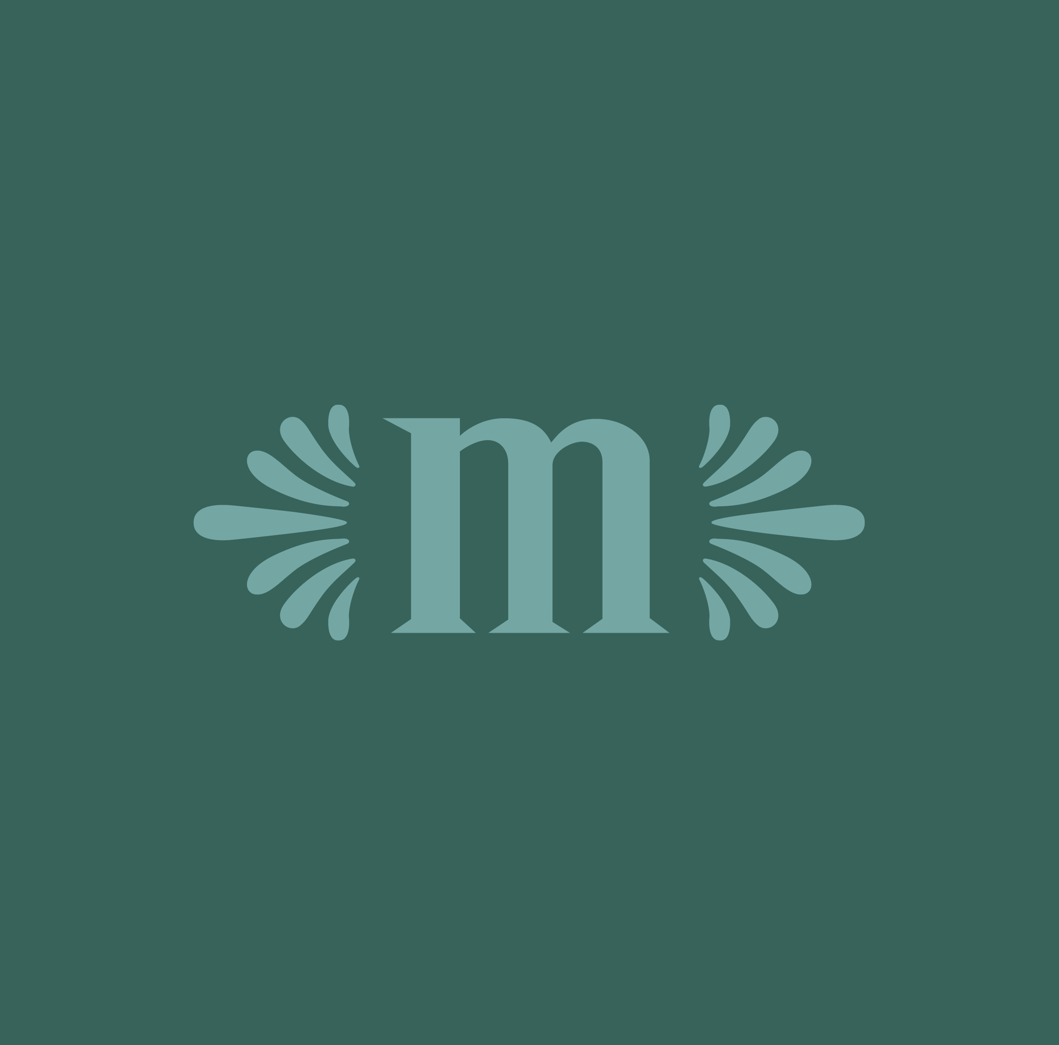 Meraki — Cielle Studio | Branding and Website Design