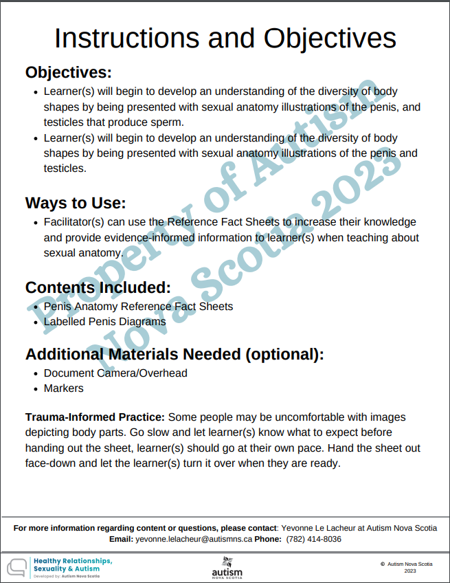 Reference Sheets of a Person with a Penis and Testicle that Produce ...