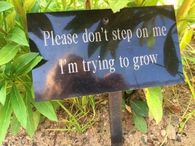 Rose Kalemba — Rose Kalemba