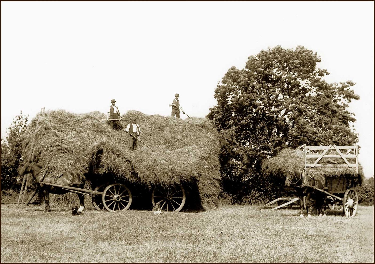 Historic Photographs — The Flintham Museum