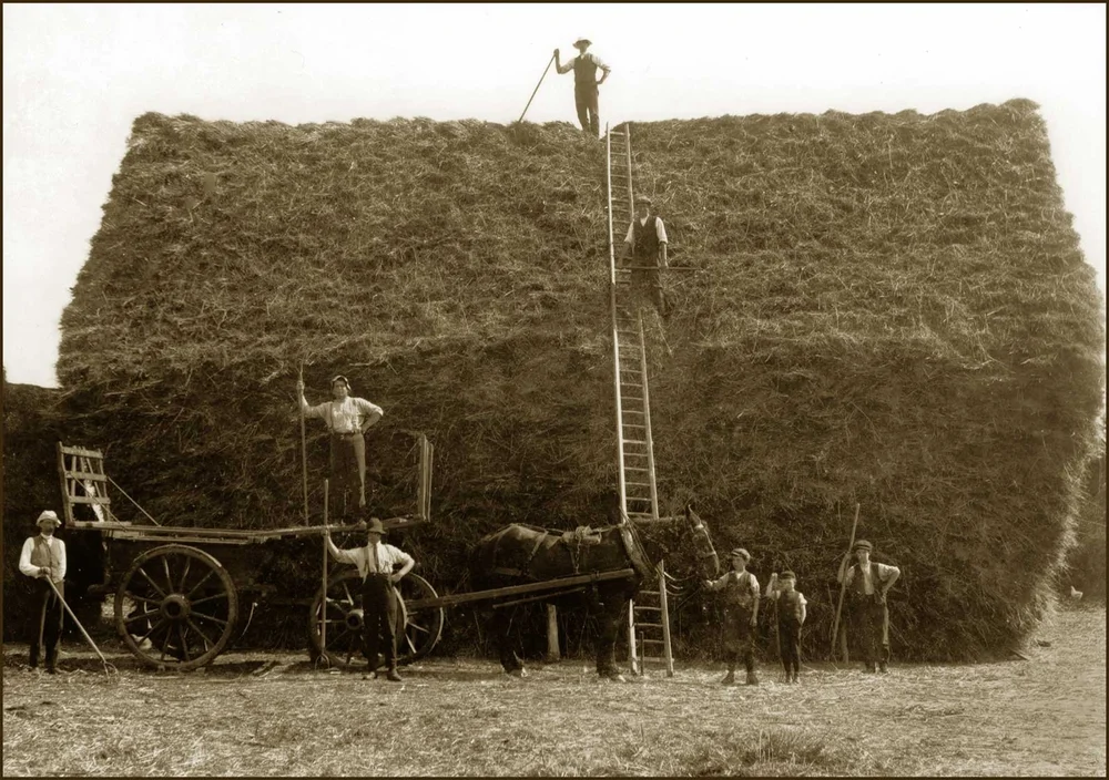 Historic Photographs — The Flintham Museum