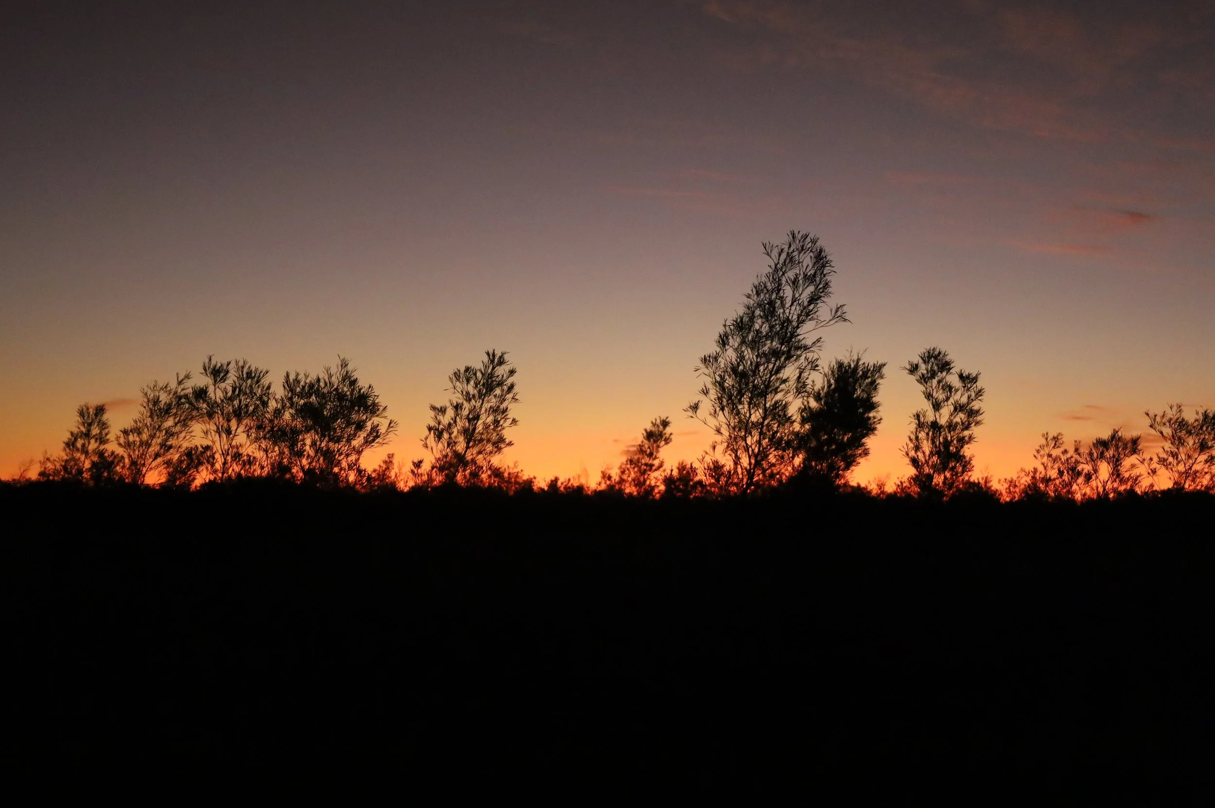 People and Country — NWAC