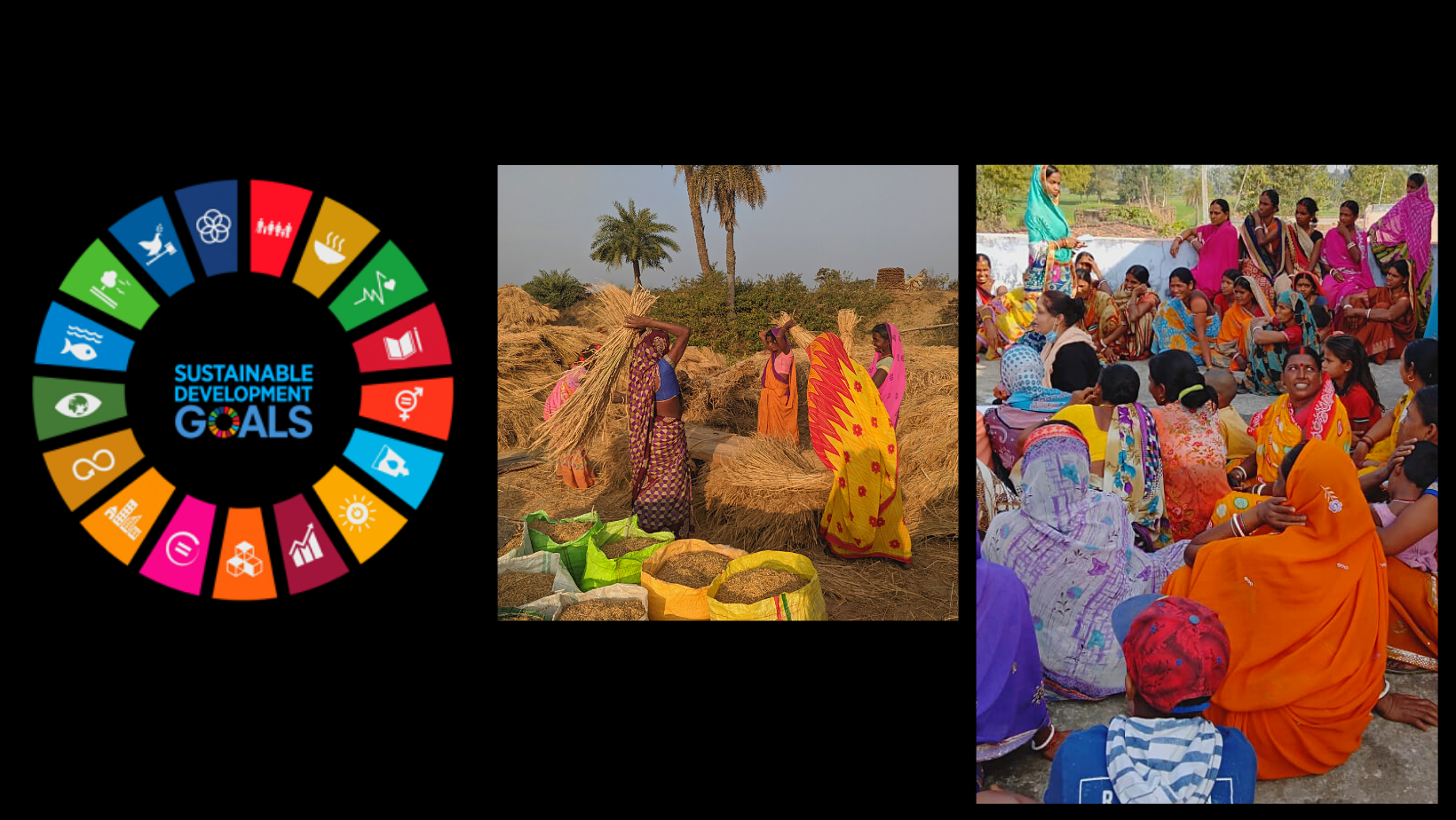 Indian Institute of Development Management