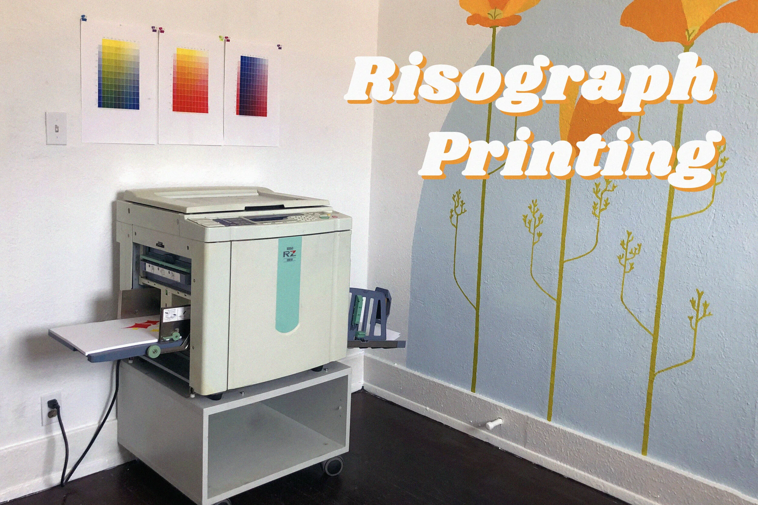 Adult Art Classes — Nova Community Arts