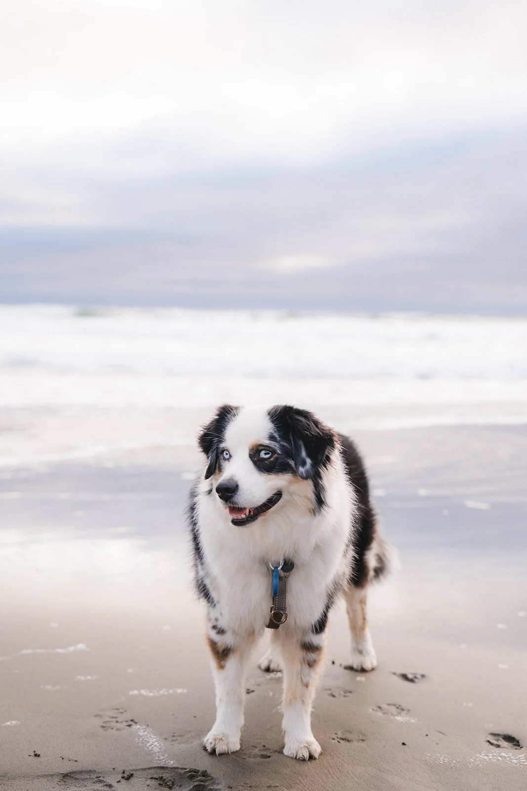 Engagement Session at Funston Beach in San Francisco | Pamela Tatz ...
