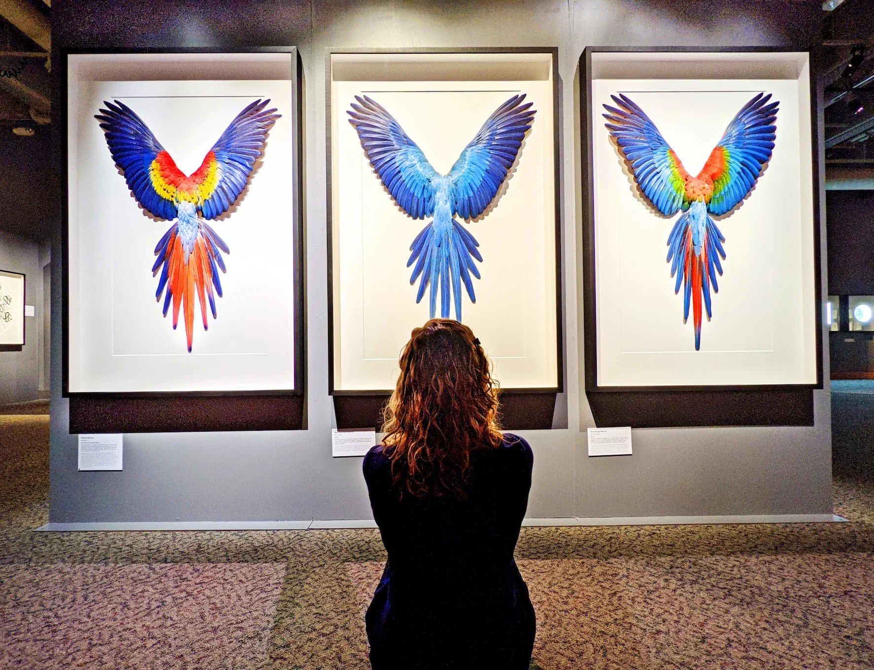 Discovering a World of Natural Science in North Carolina