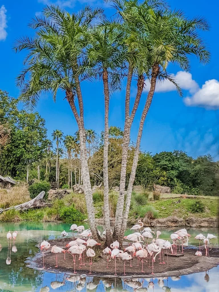 Discover the Best Disney World Rides for Science Lovers