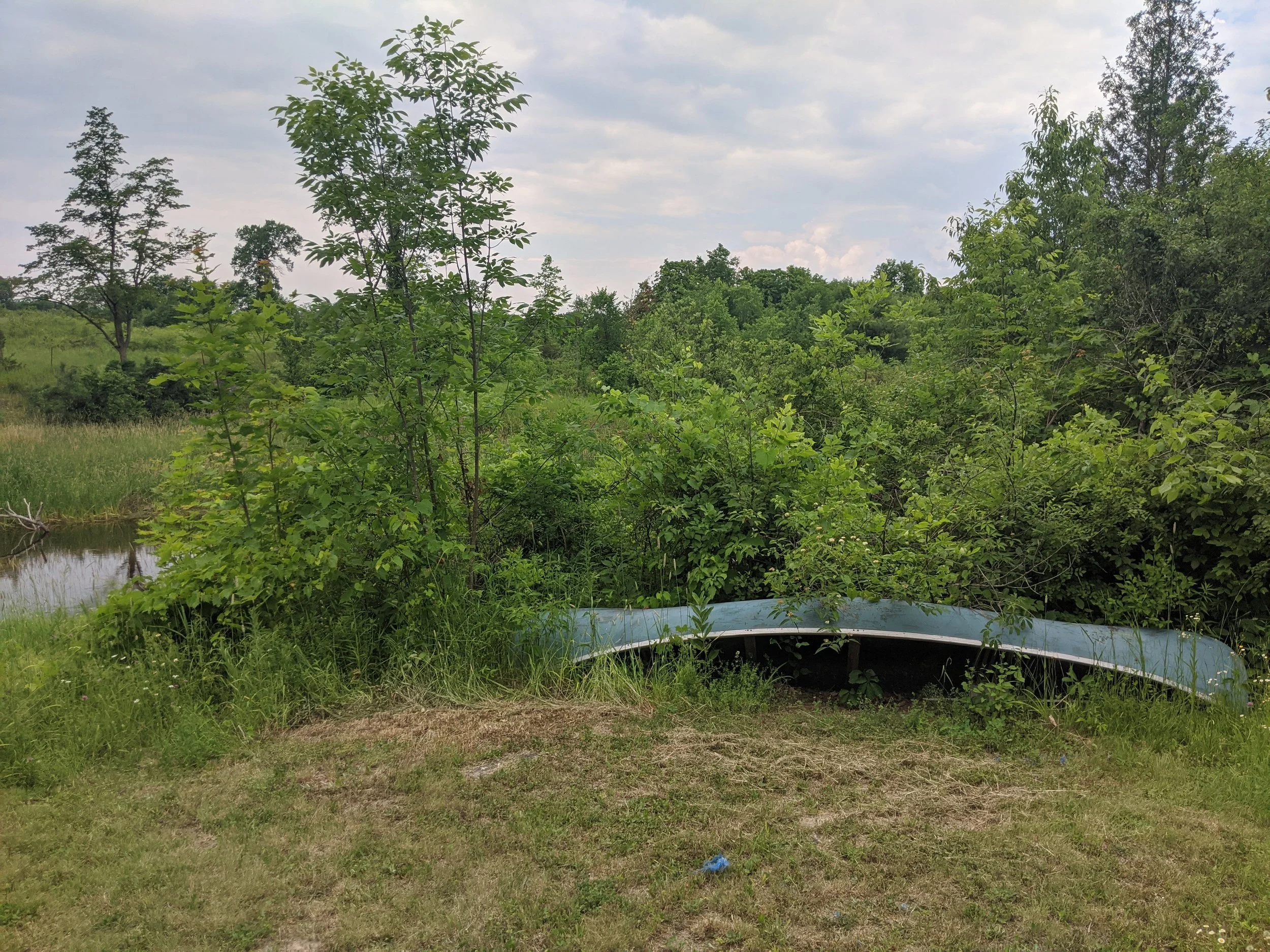 Gaeilge.ca | Explore Irish Language, Culture, and Heritage in Canada ...