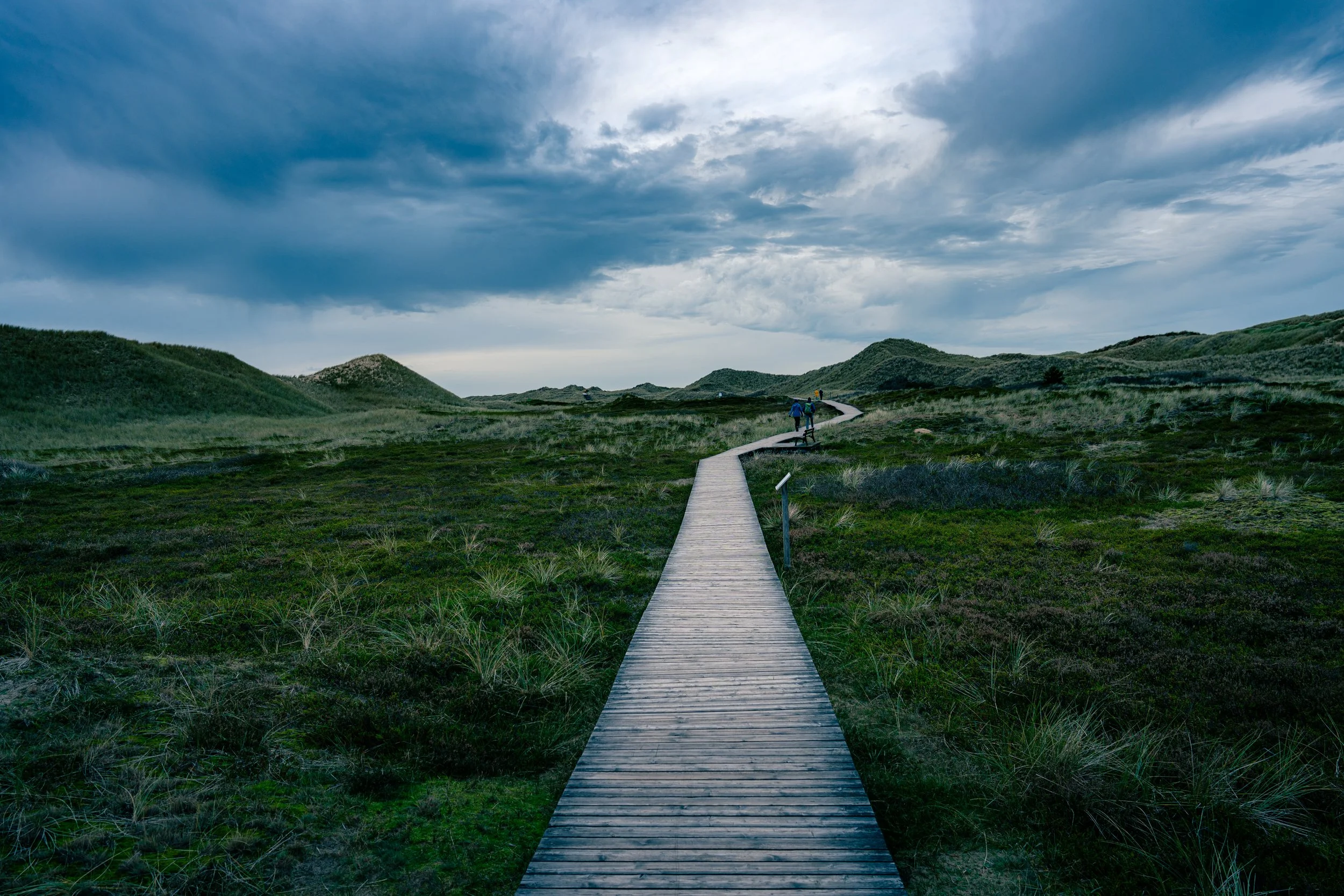 How to view Camera RAW Thumbnails in Windows — Consistent Creative