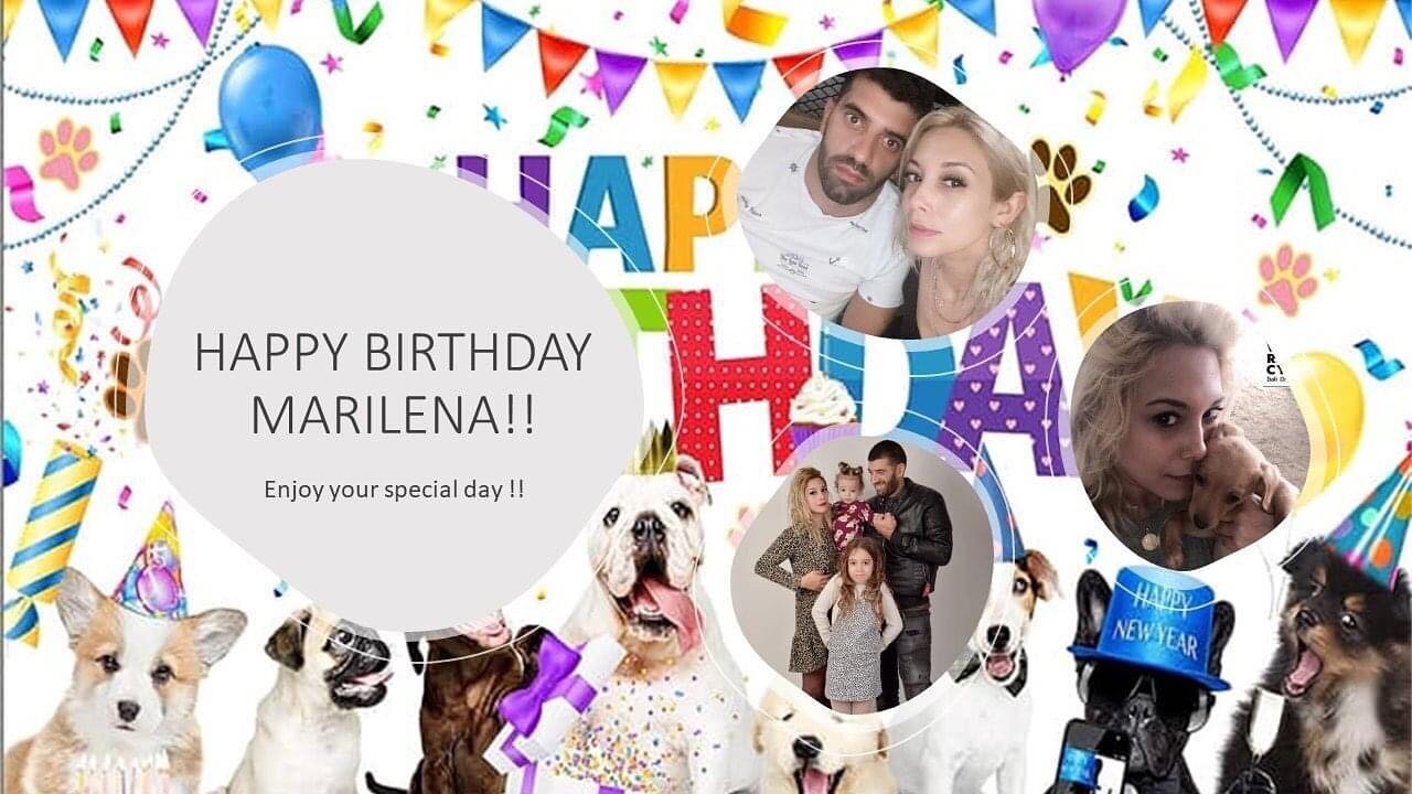 Adopt A Dog From Cyprus | Dali Dog Rescue UK