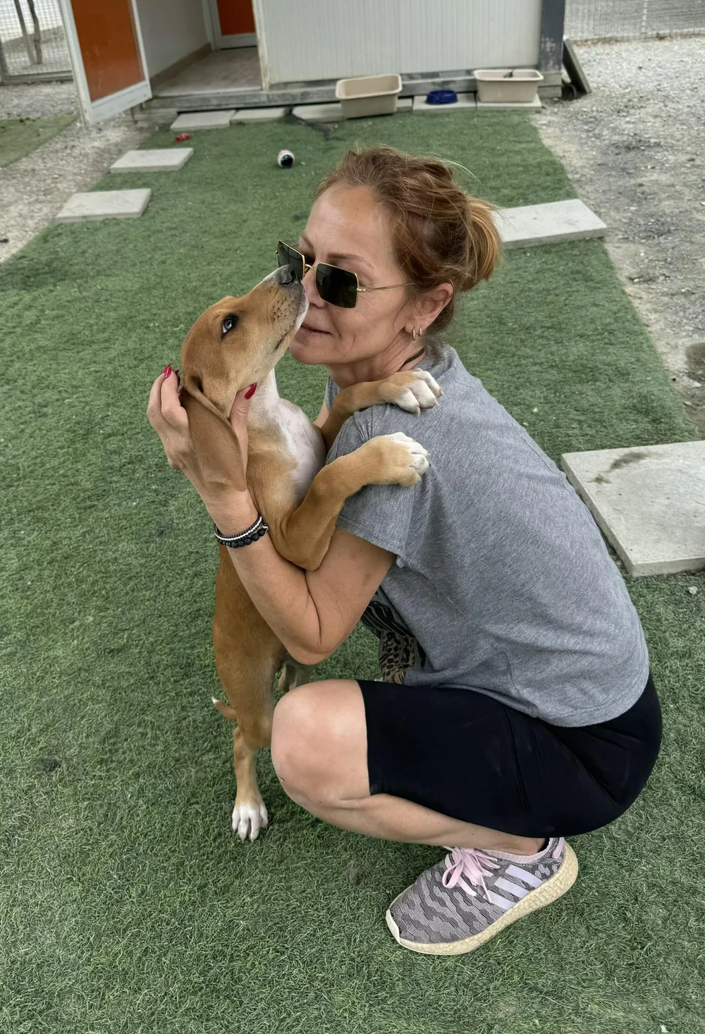 Meet our dogs – Adopt a Dog From Cyprus — Dali Dog Rescue UK