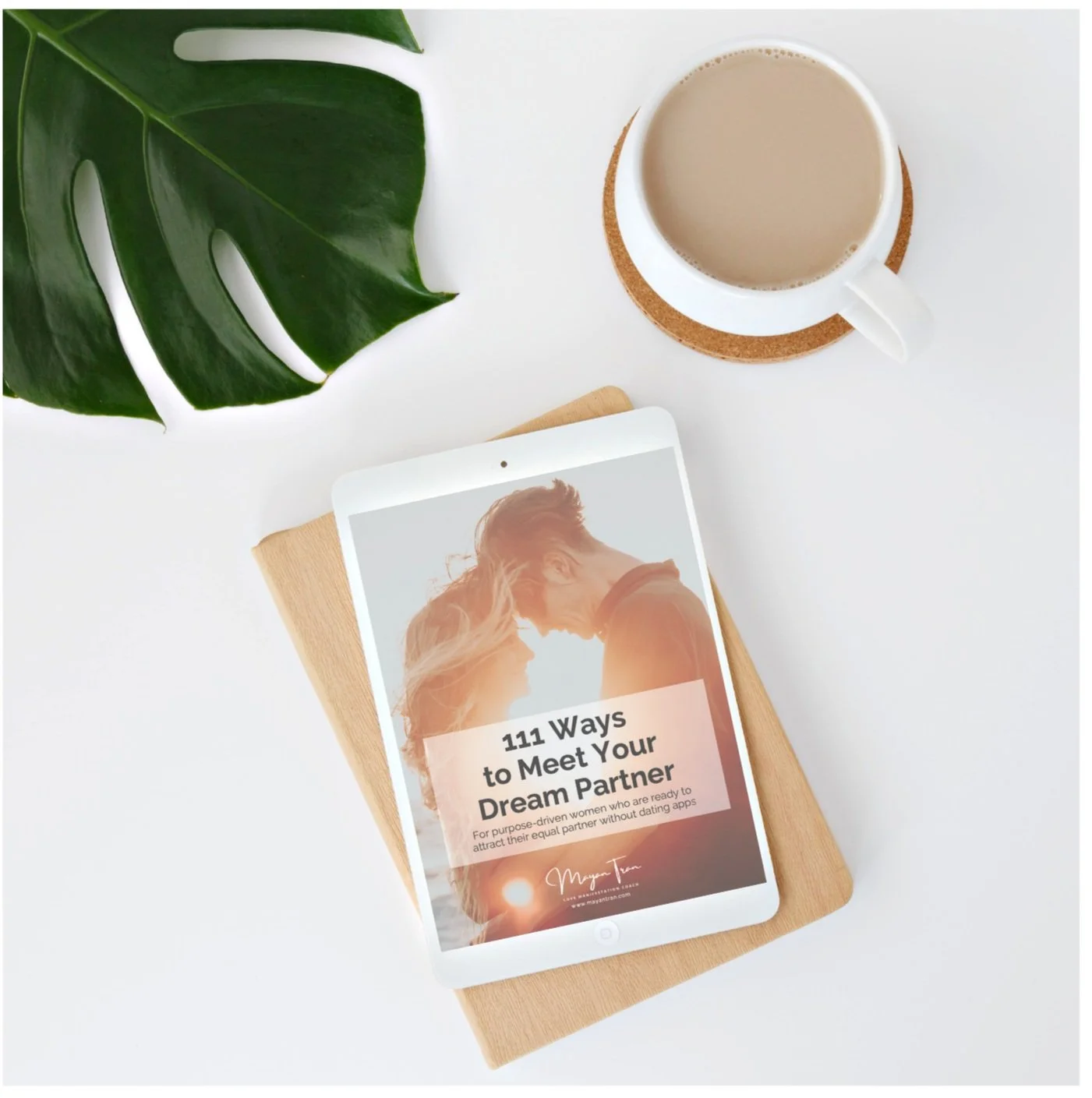 111 Ways to Meet Your Dream Partner — Mayan Tran