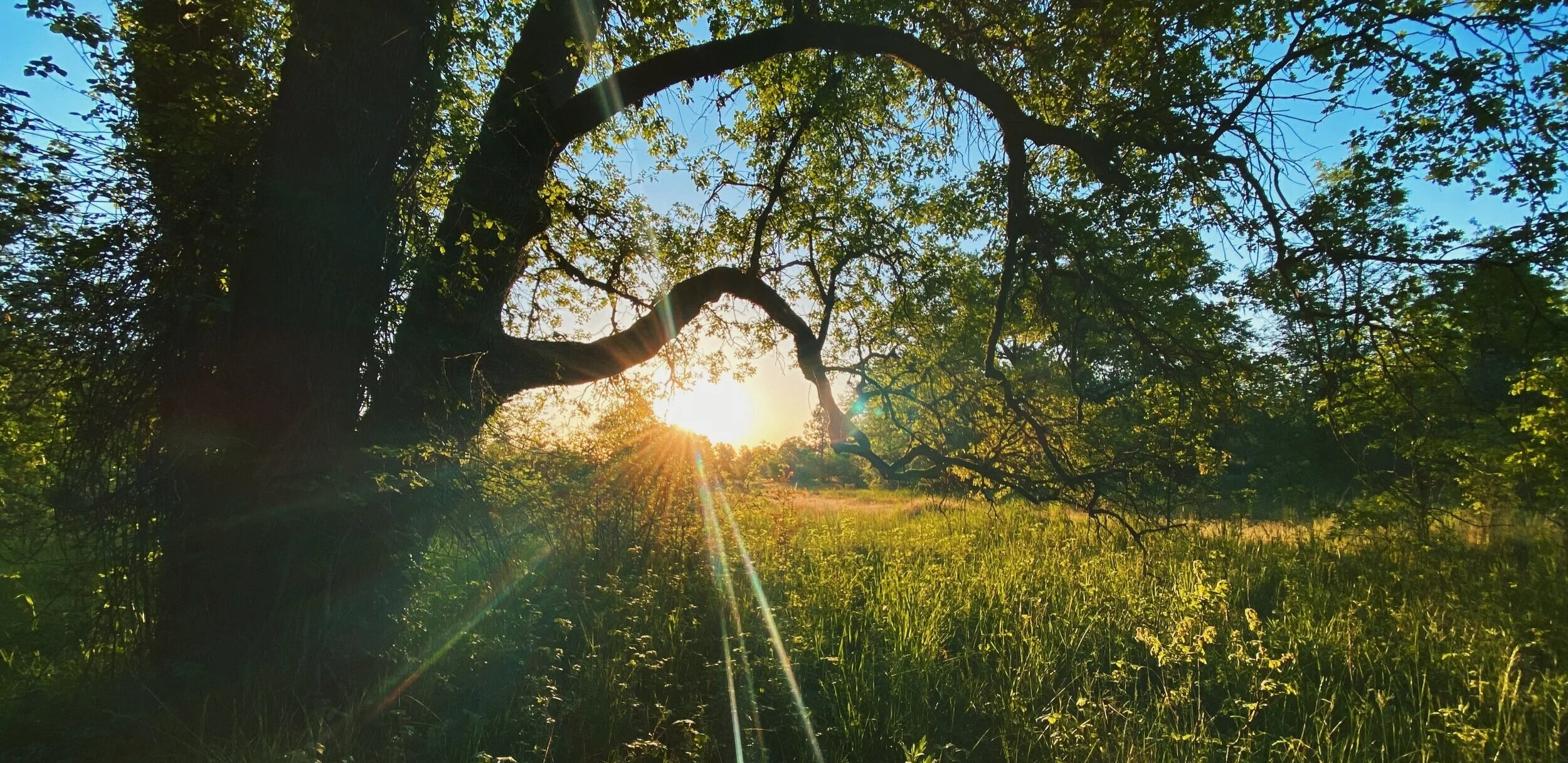 Our Services — The Drop In Bereavement Centre