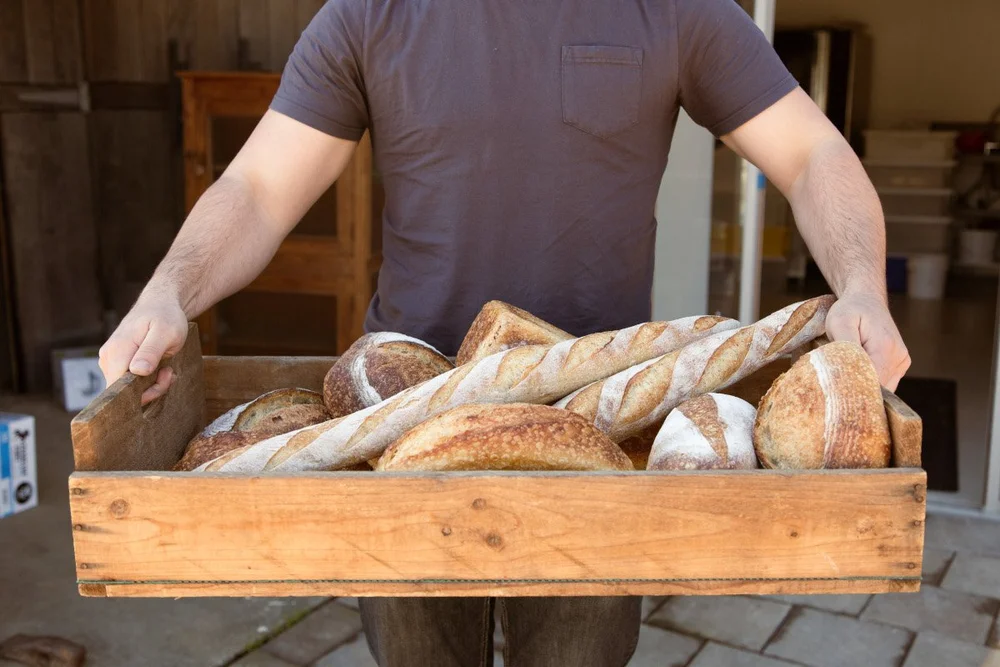 Basket Range Baker