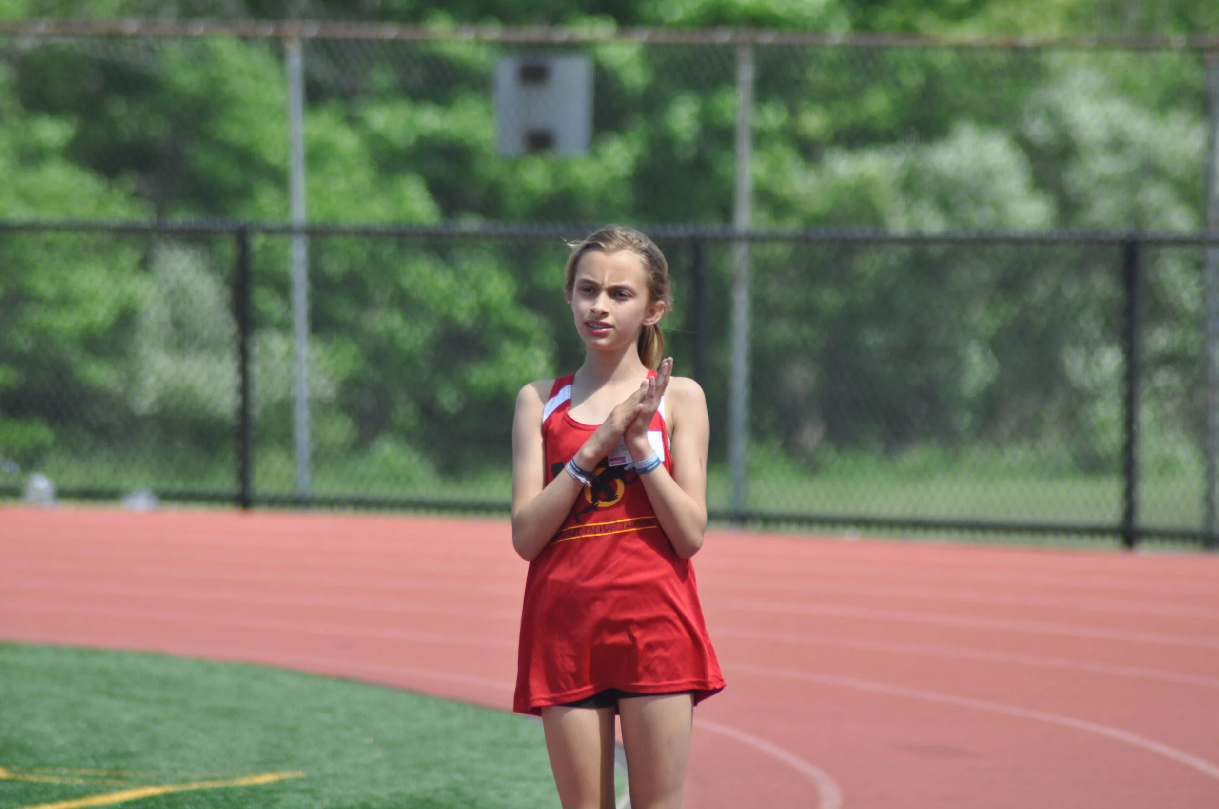 Mount Olive Track