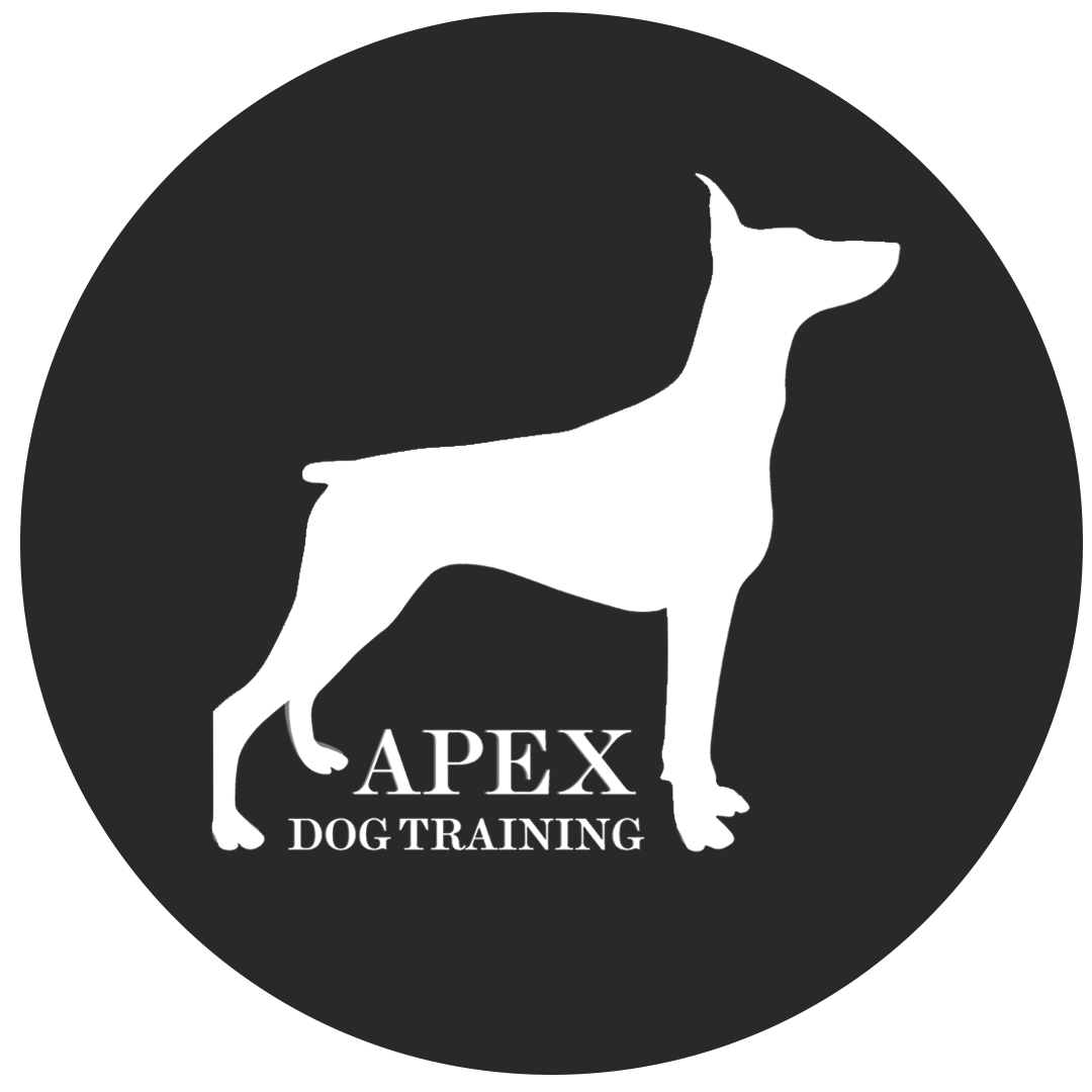 About — Apex Dog Training