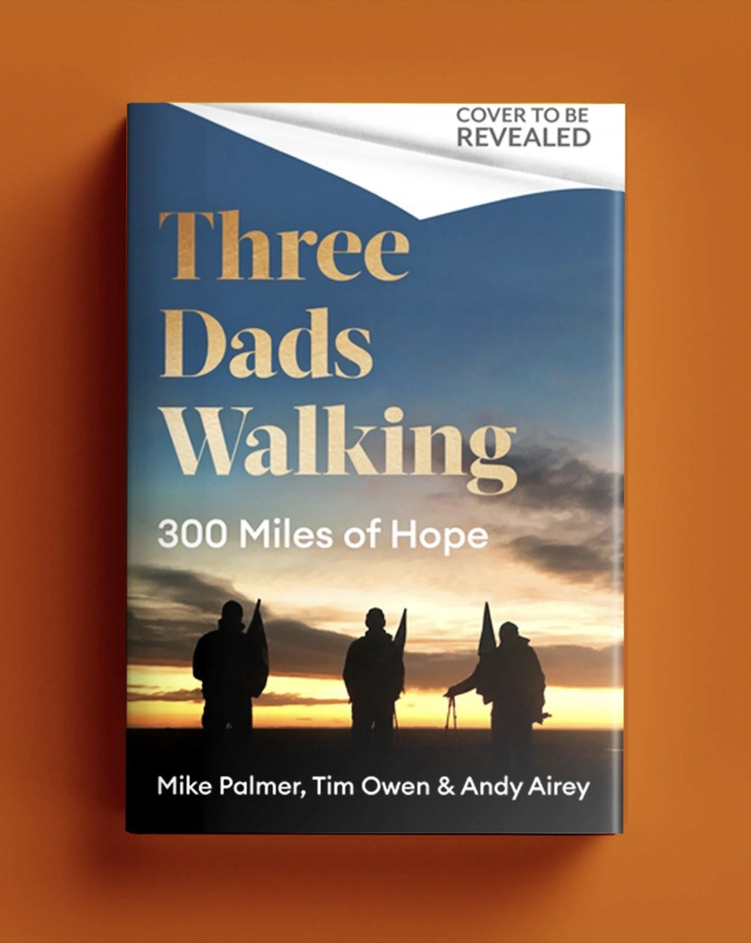 Blog — 3 Dads Walking