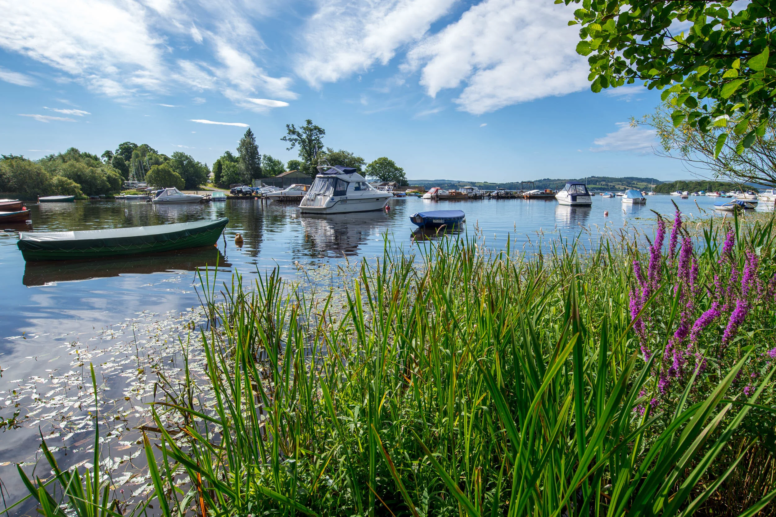 The Oak Tree Inn : Balmaha, Loch Lomond on the West Highland Way