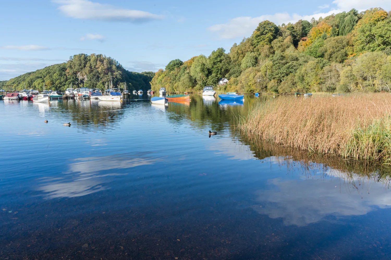 The Oak Tree Inn : Balmaha, Loch Lomond on the West Highland Way