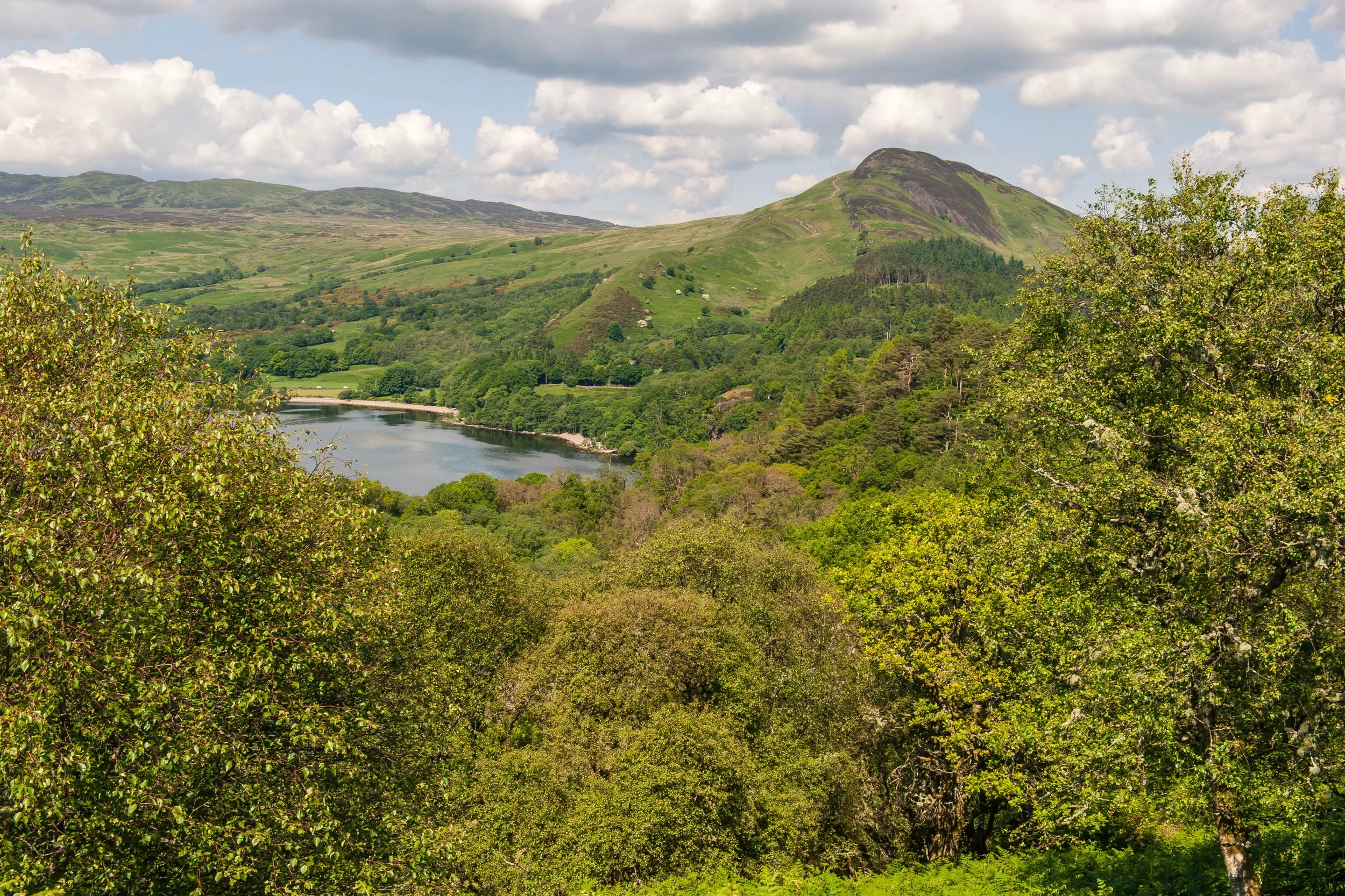 Climb Conic Hill — The Oak Tree Inn