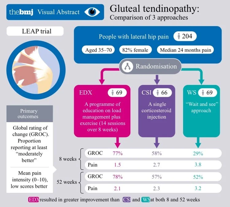 Gluteal Tendinopathy, How to fix lateral hip pain — Summit Physical ...