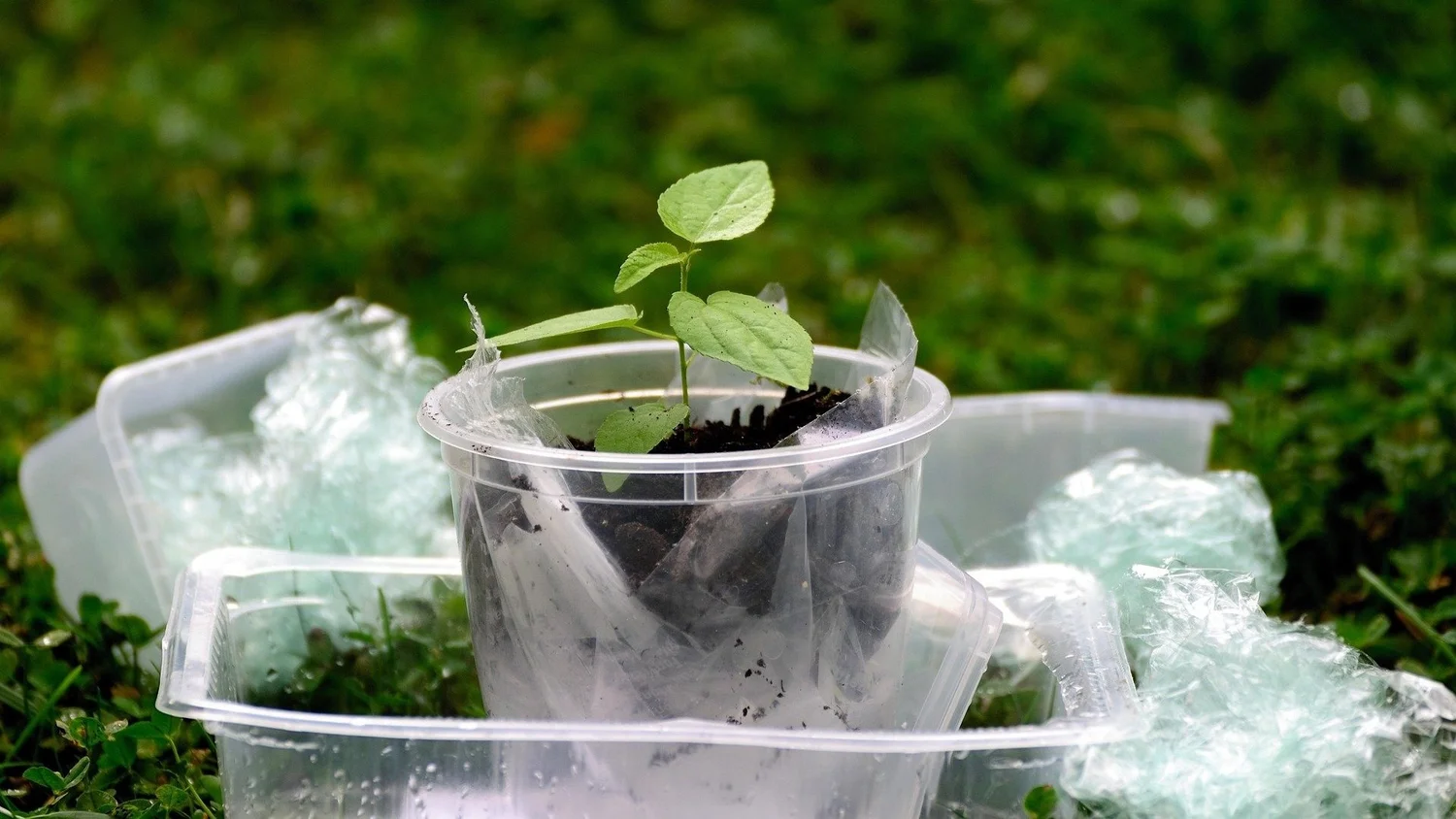 Webinar: Landbruksplast – påvirkning på jordmiljø og planter — FORUM ...