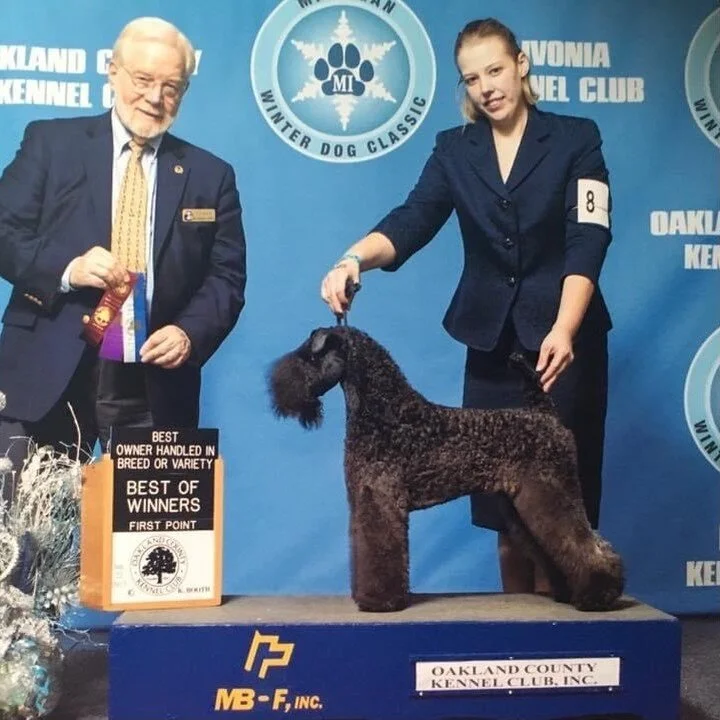 KellsenBerg Kerry Blue Terriers