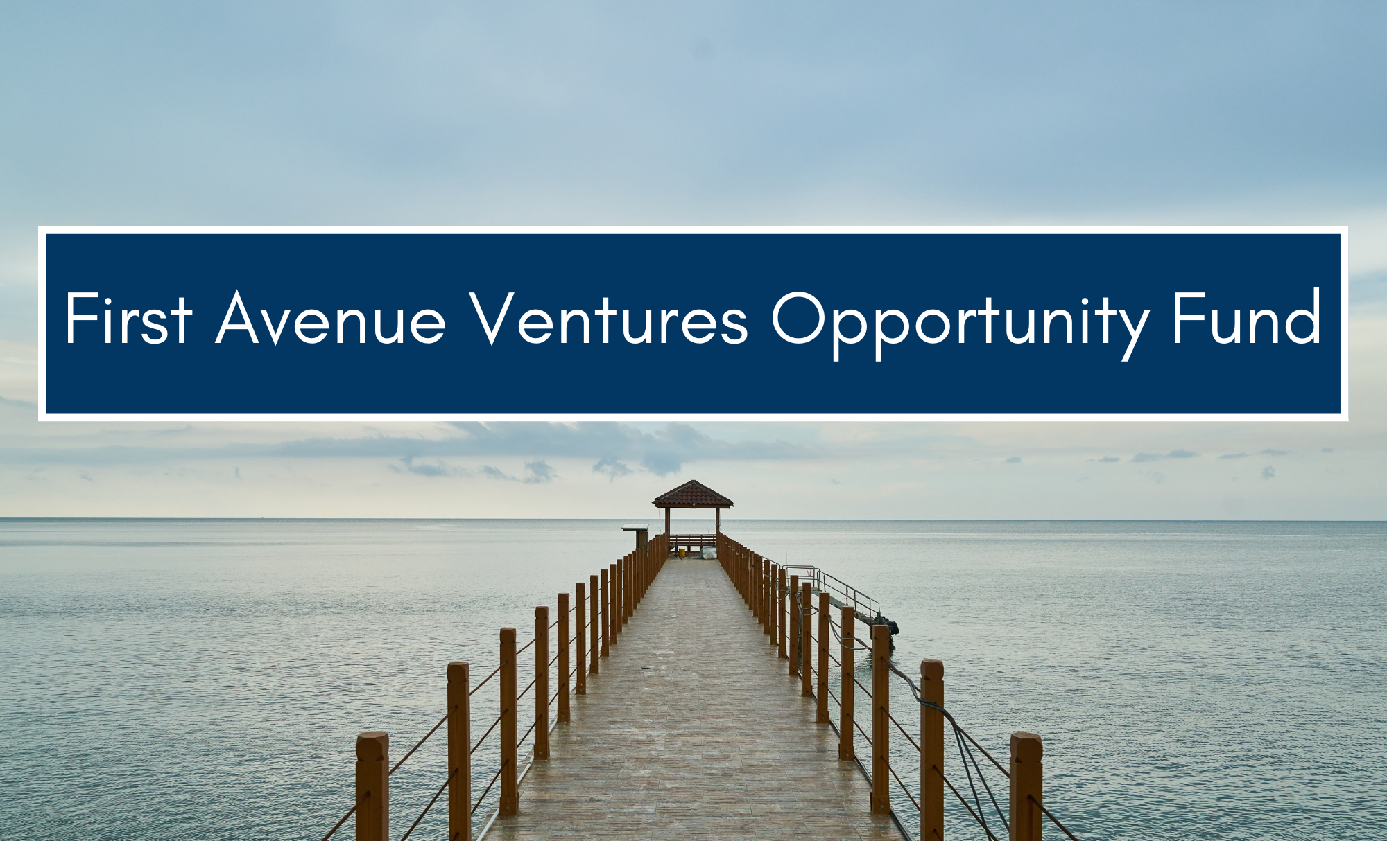 General 1 — First Avenue Ventures Funds