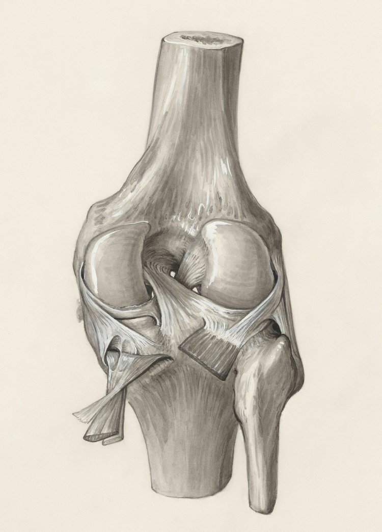 ACL Surgery Physio — MSK Physiotherapy & Sports Injuries London