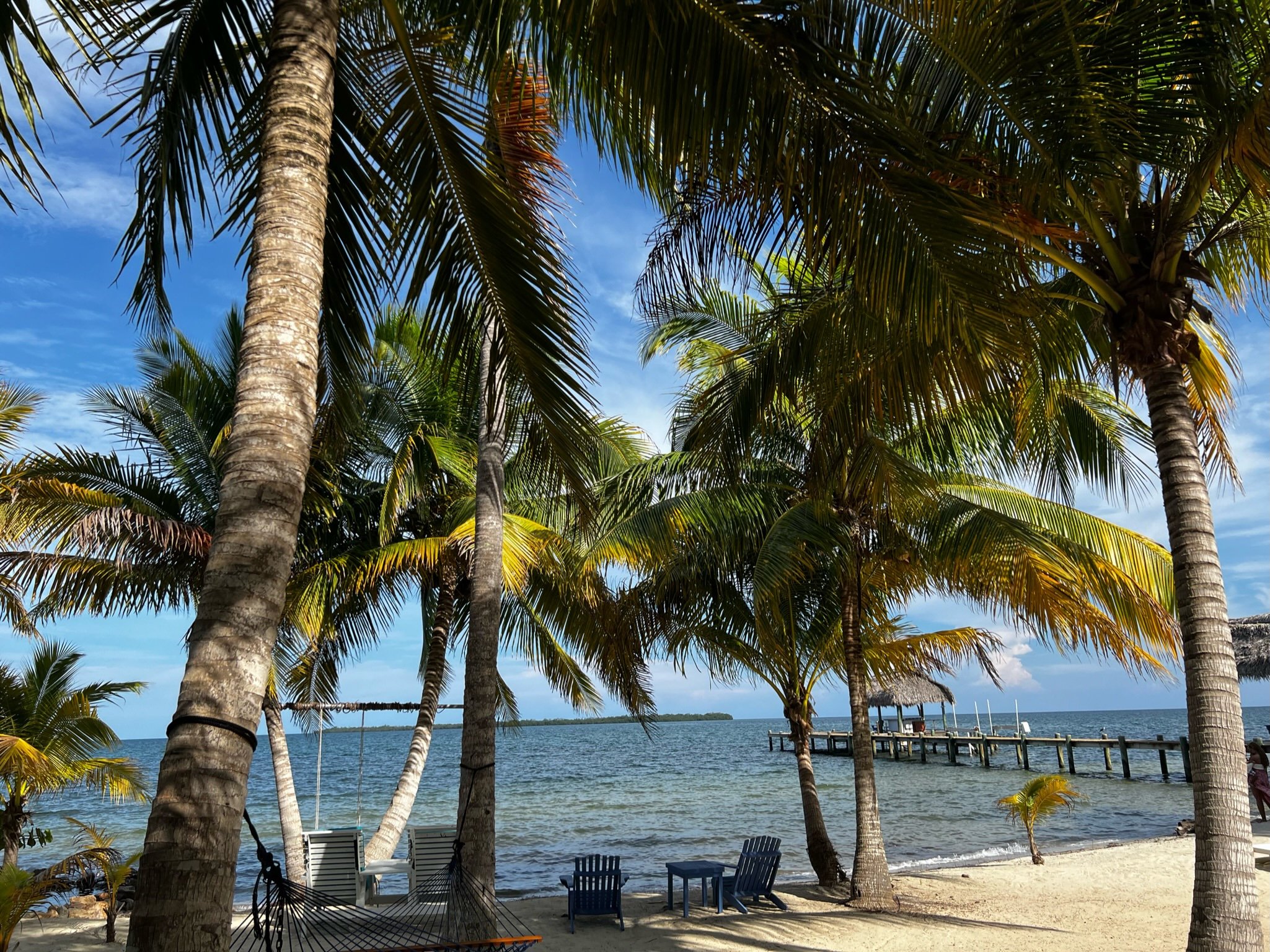 Team 1 — Azure Del Mar