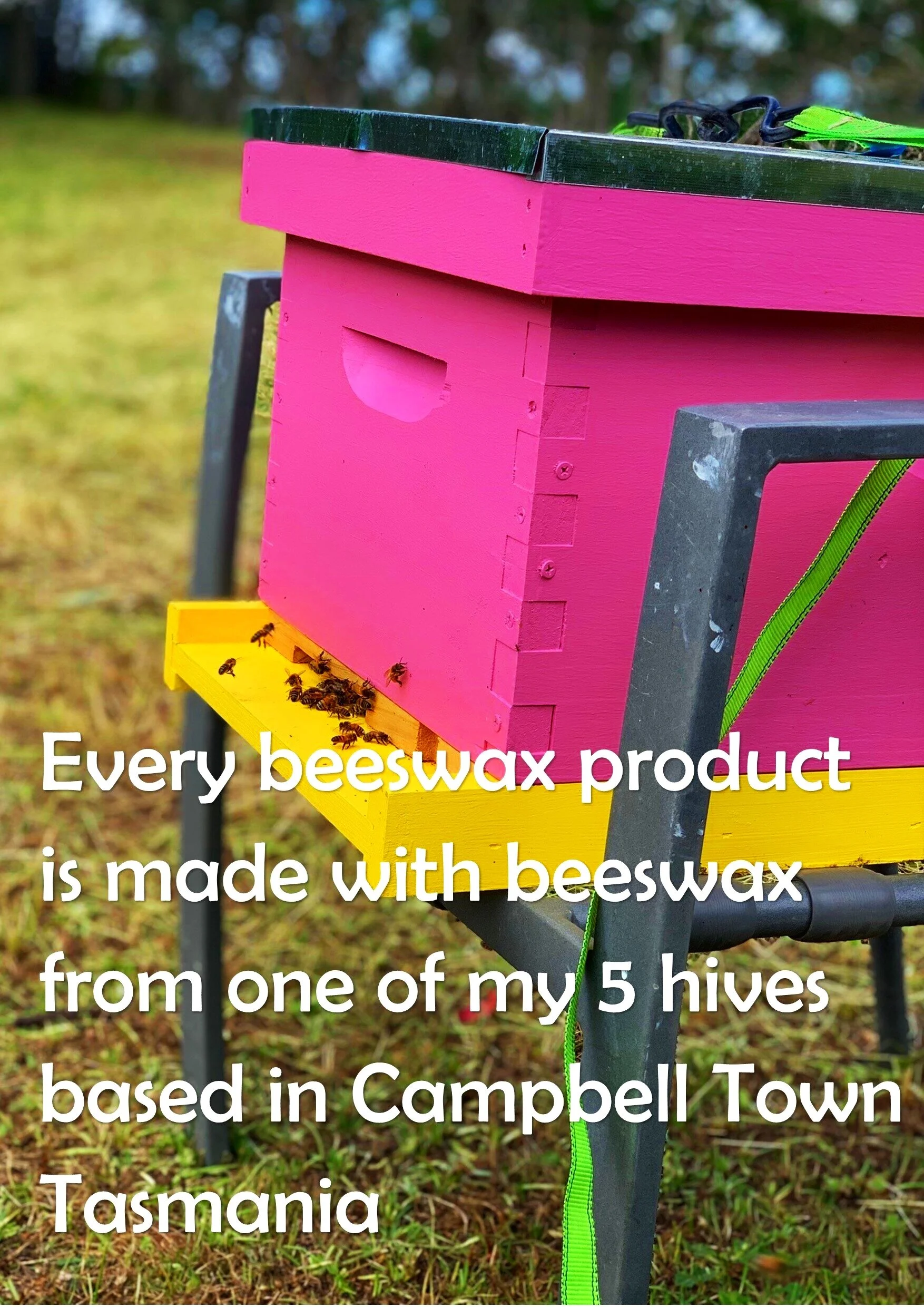 Our Products Made From Beeswax | Barber's Bees and Berries