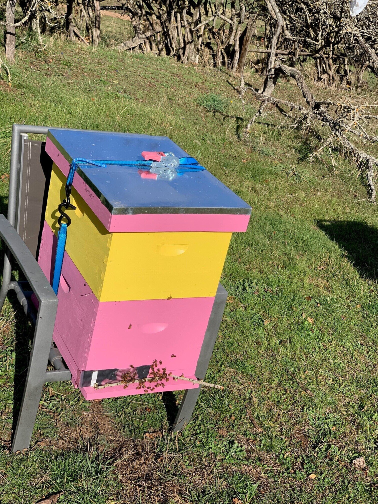 Our Story | Barber's Bees and Berries