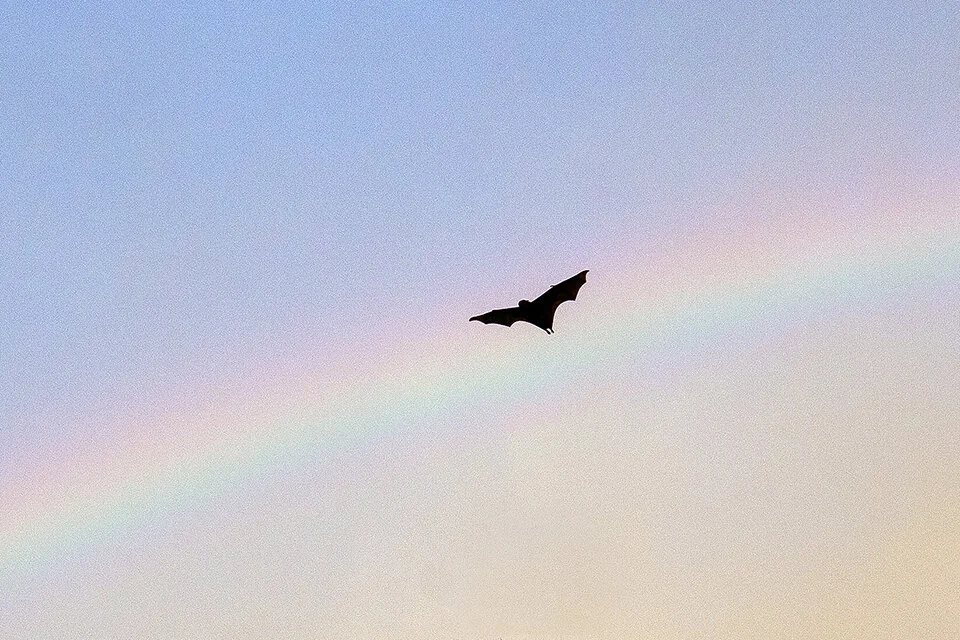 Brisbane Portrait Photographer | Fine Art Photographer, Brisbane ...