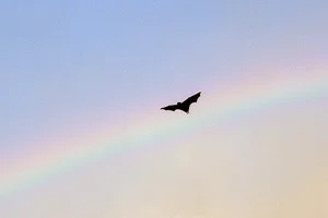 Brisbane Portrait Photographer | Fine Art Photographer, Brisbane ...