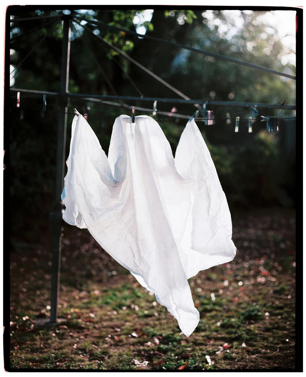 Professional Portrait & Fine Art Photographer based in Brisbane ...