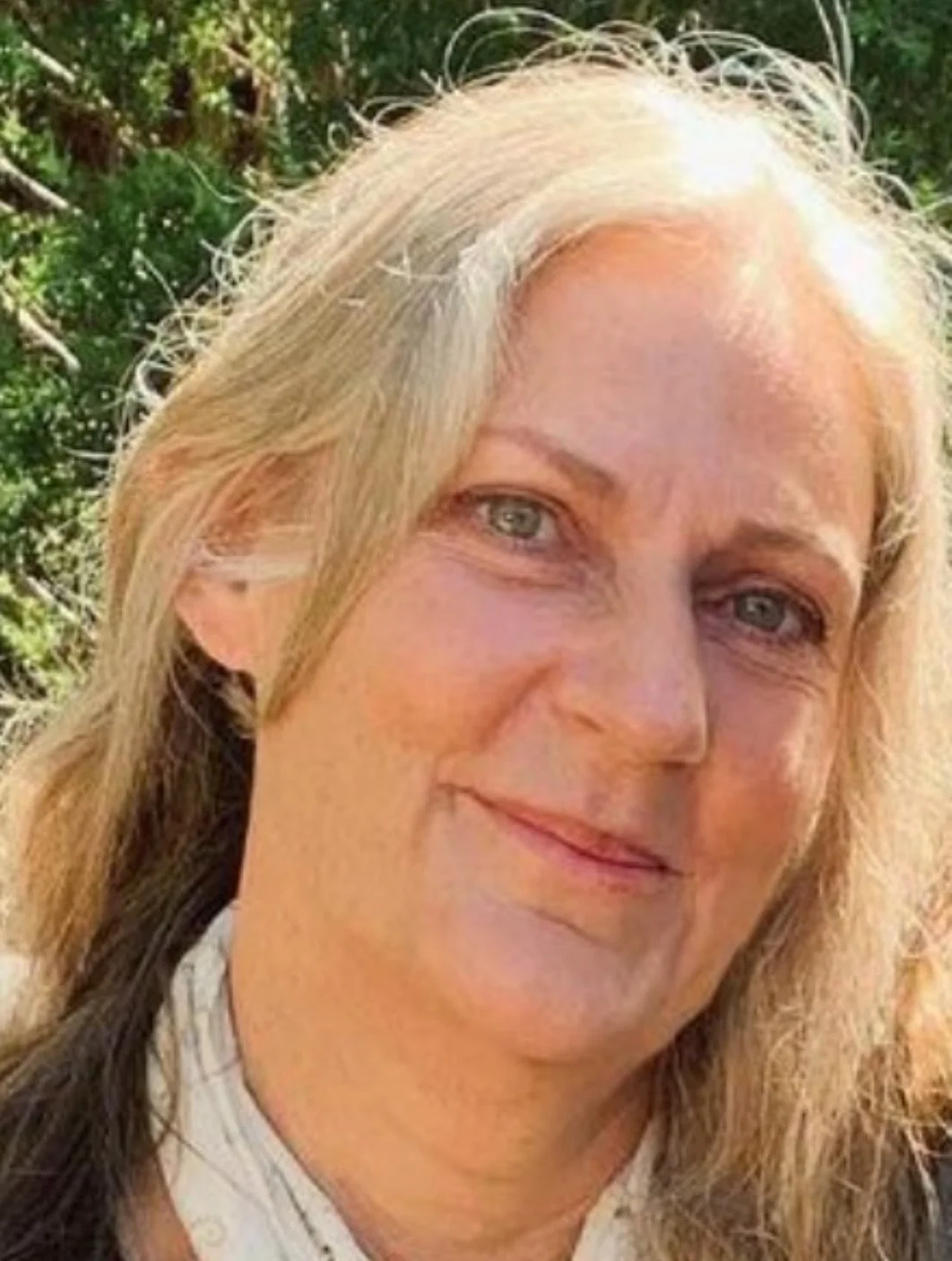 MANet Gallery — The Maldon Artist Network