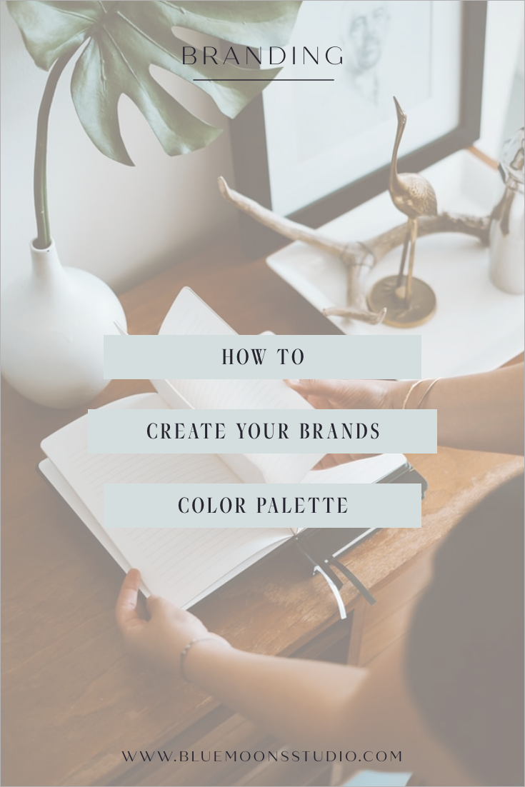 How To Choose Your Brand Colors — BLUE MOONS STUDIO