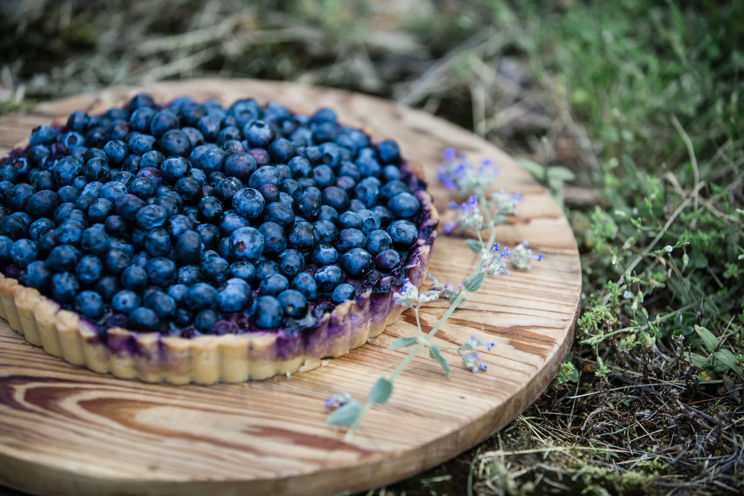 Blog — Hungry for Home