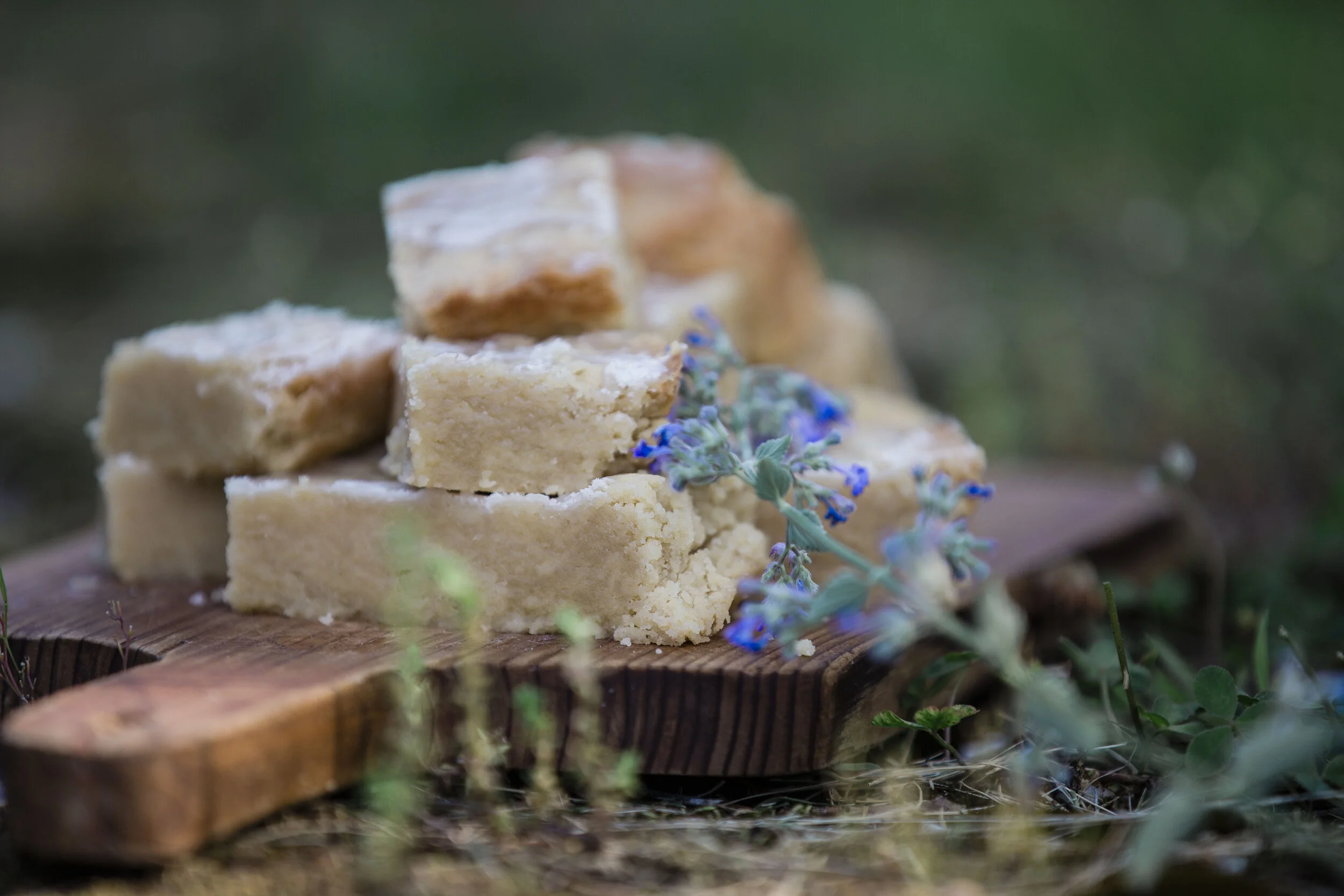 Blog — Hungry for Home