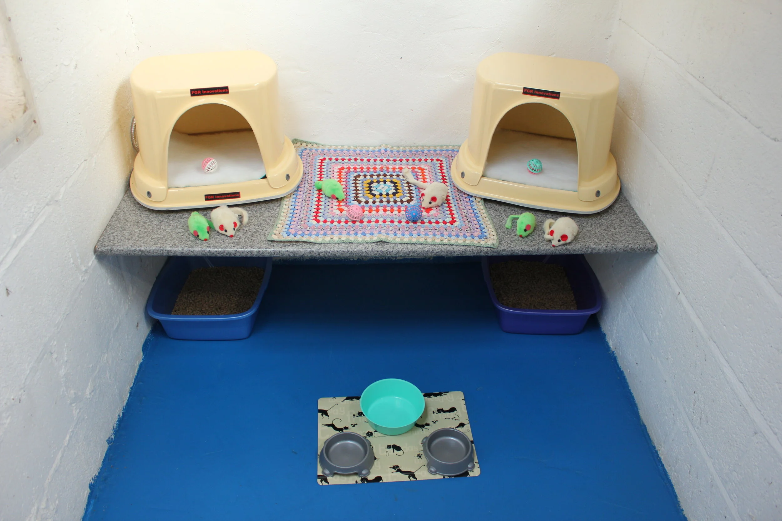 Photos — Kingswood Farm Kennels & Cattery