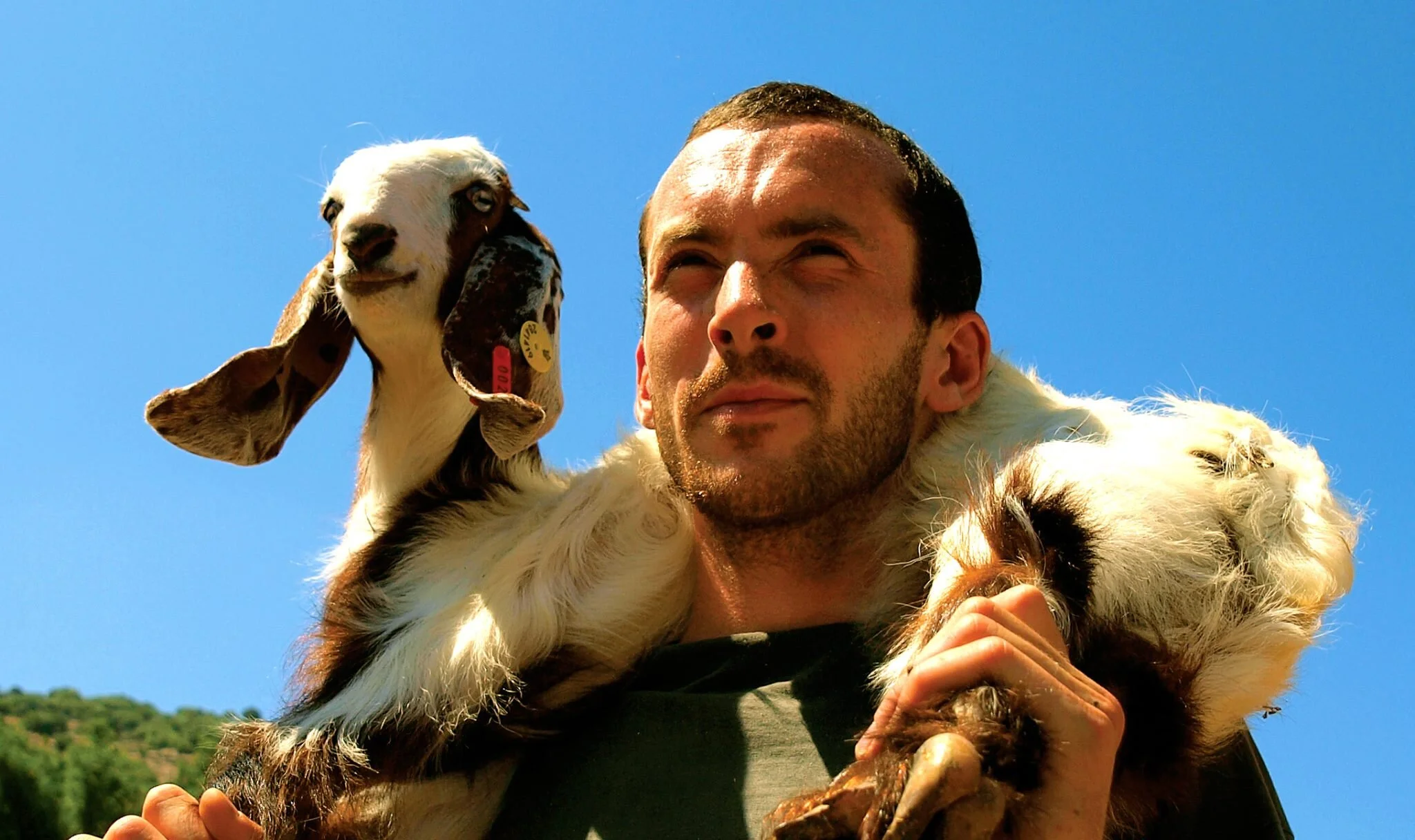 Meet Leon! Animation Studio & Learn Our Story