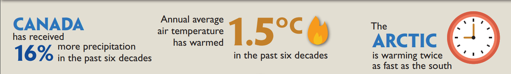 Great Examples of Nonprofit Infographics from 2023