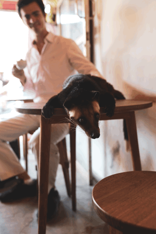 Should You Drink the "Cat Poop" Coffee in Bali? All About Kopi Luwak ...