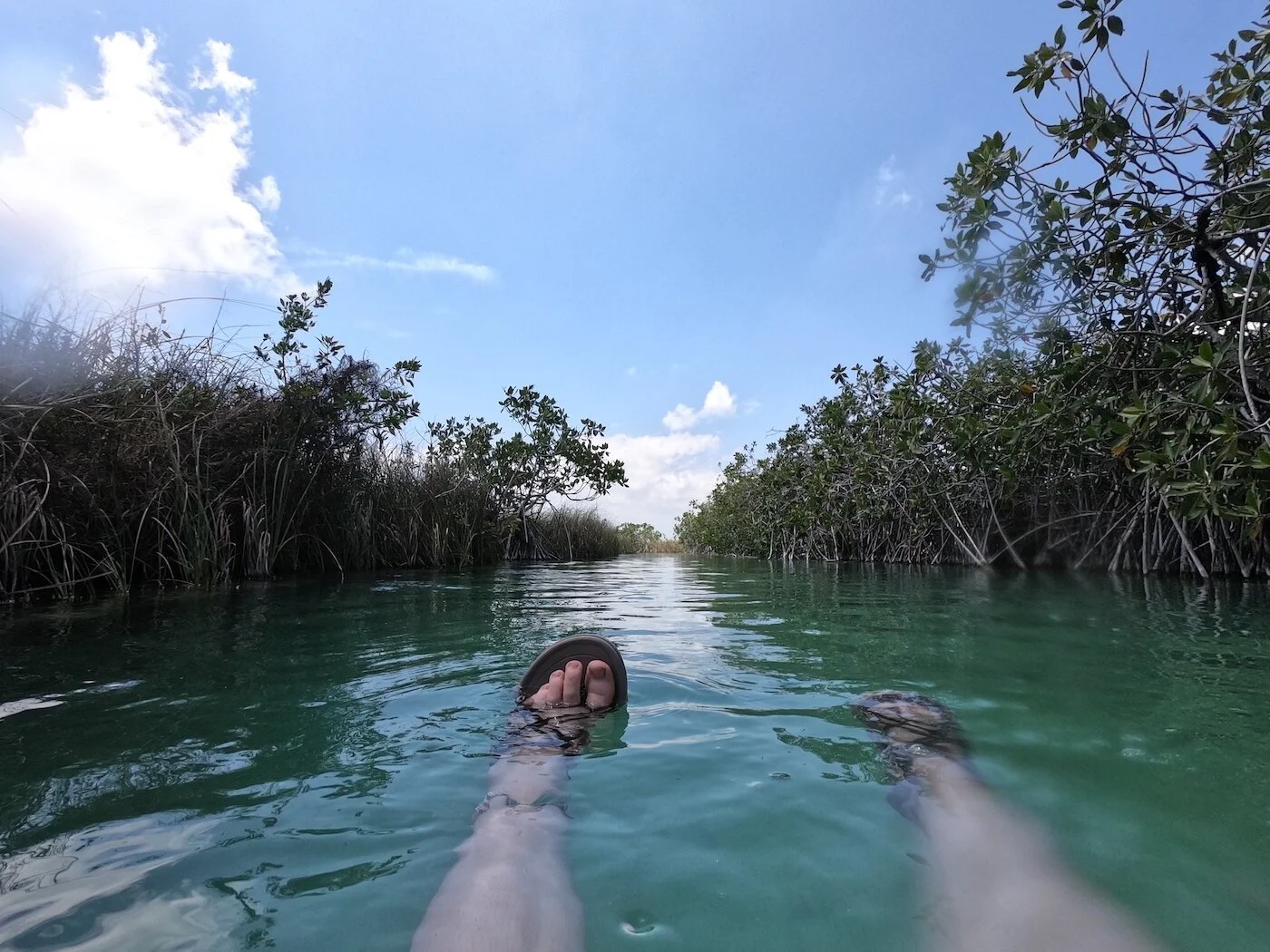 Sian Ka'an Bio Reserve: How to Visit Without a Tour From Tulum - Katie ...