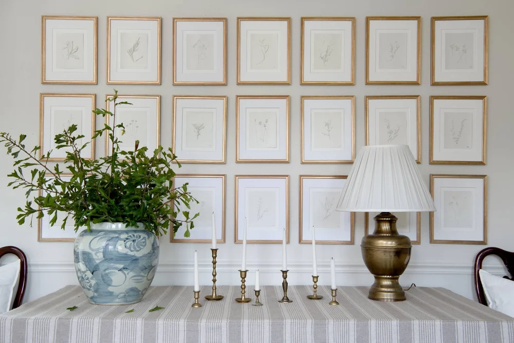 Amy Spencer Botanical Art