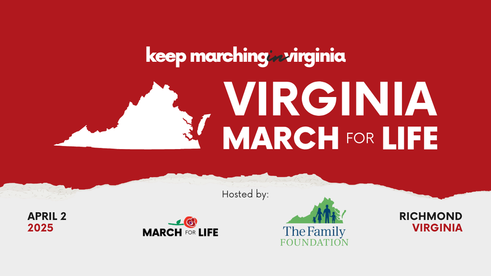 The Family Foundation