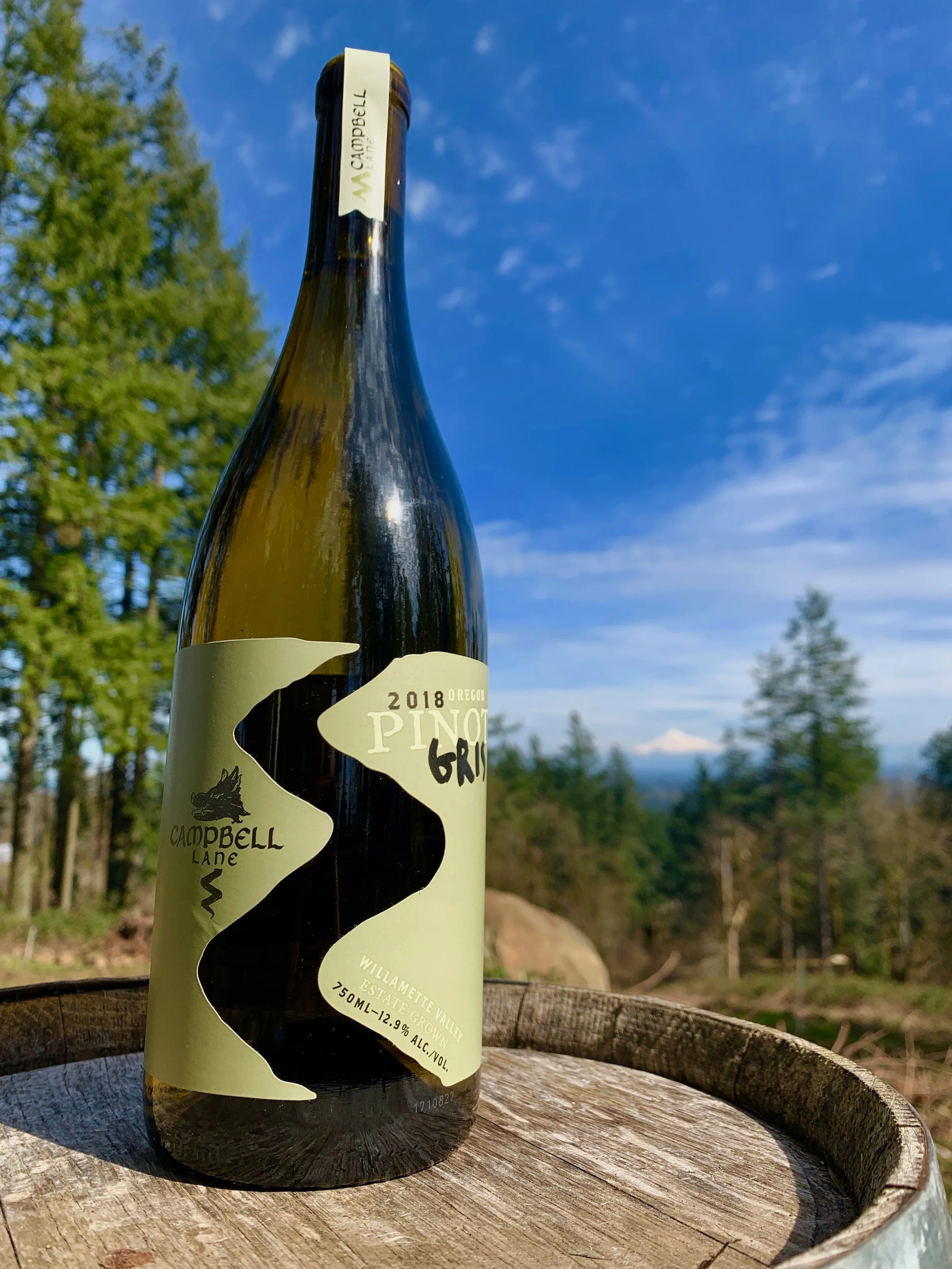Oregon Pinot Gris, Estate Grown — Campbell Lane Winery