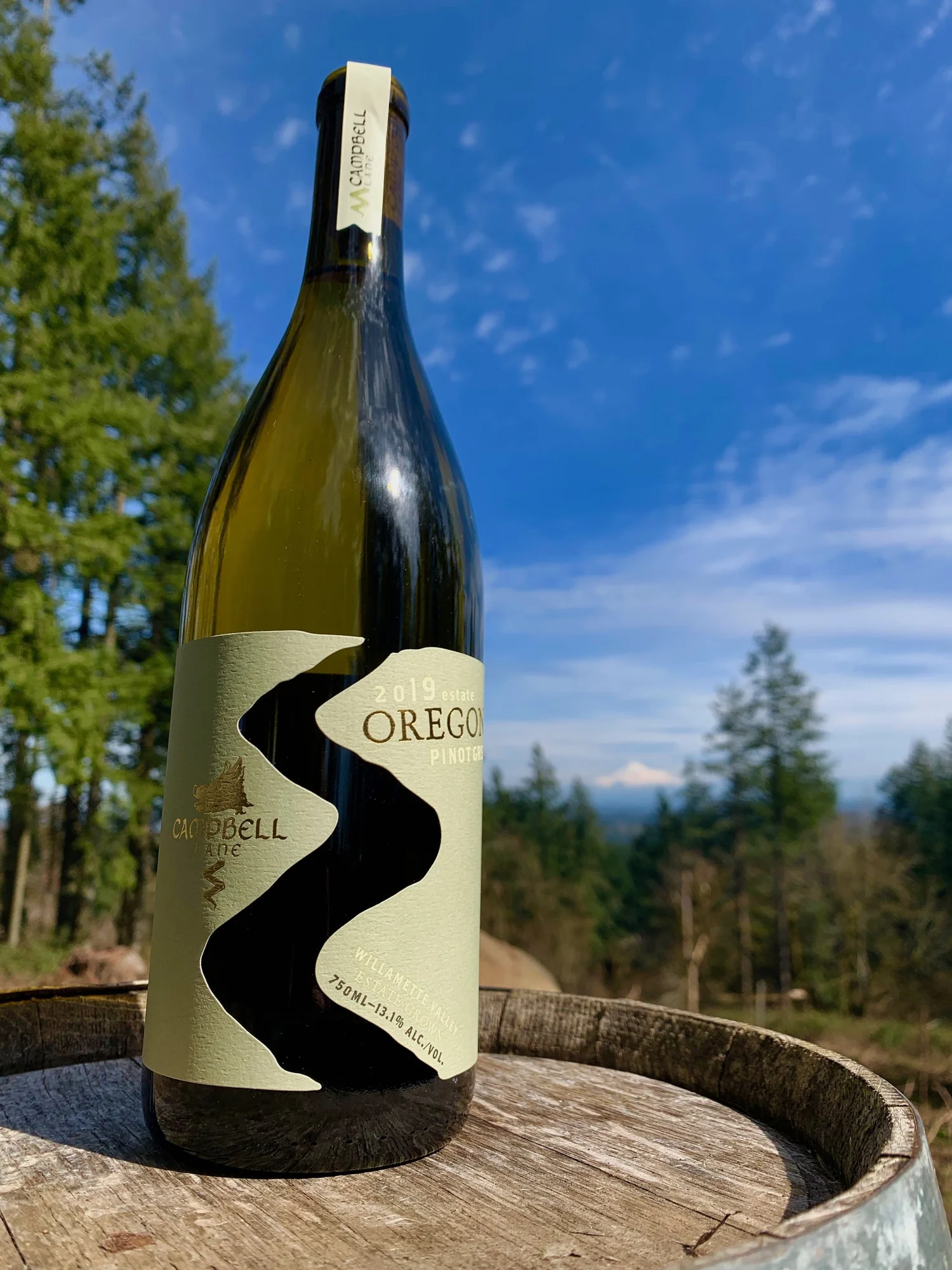 Oregon Pinot Gris, Estate Grown — Campbell Lane Winery
