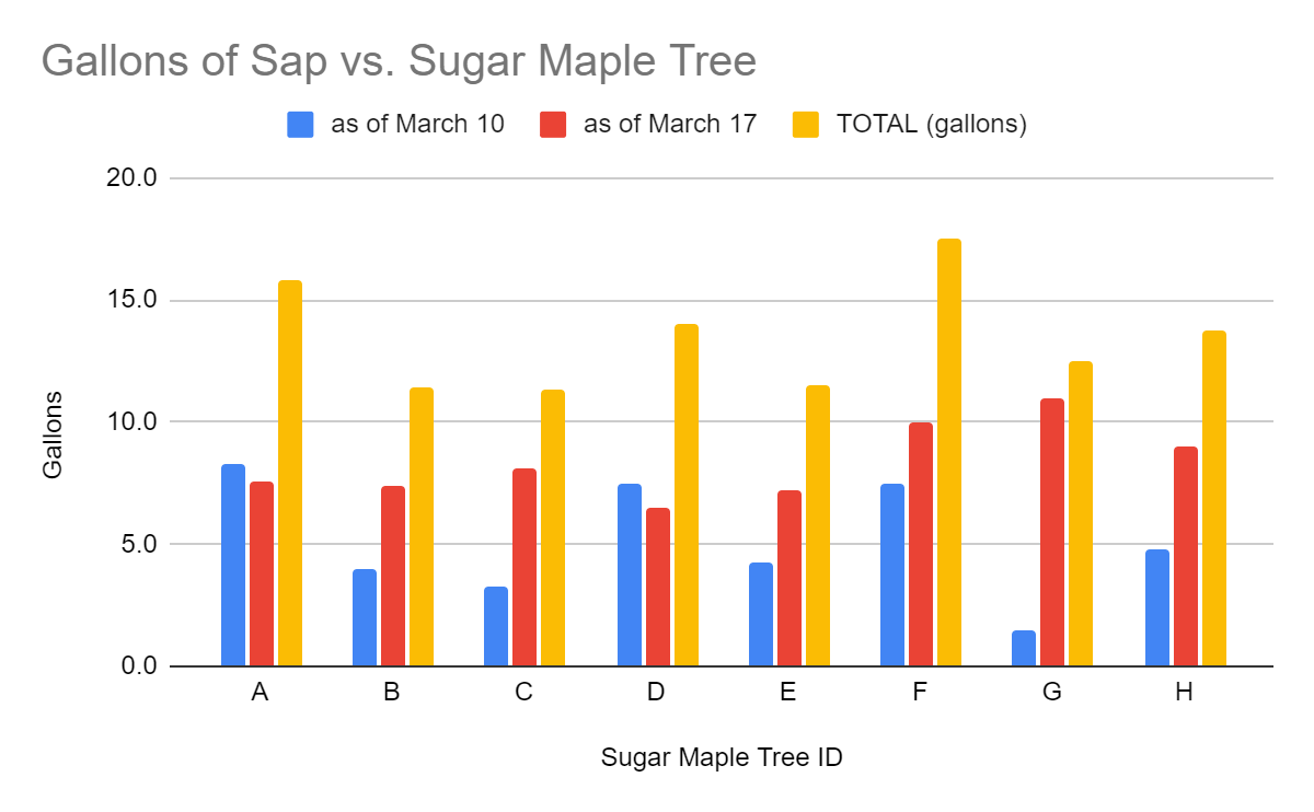 Maple Sugaring — JohnsonNatureCenter